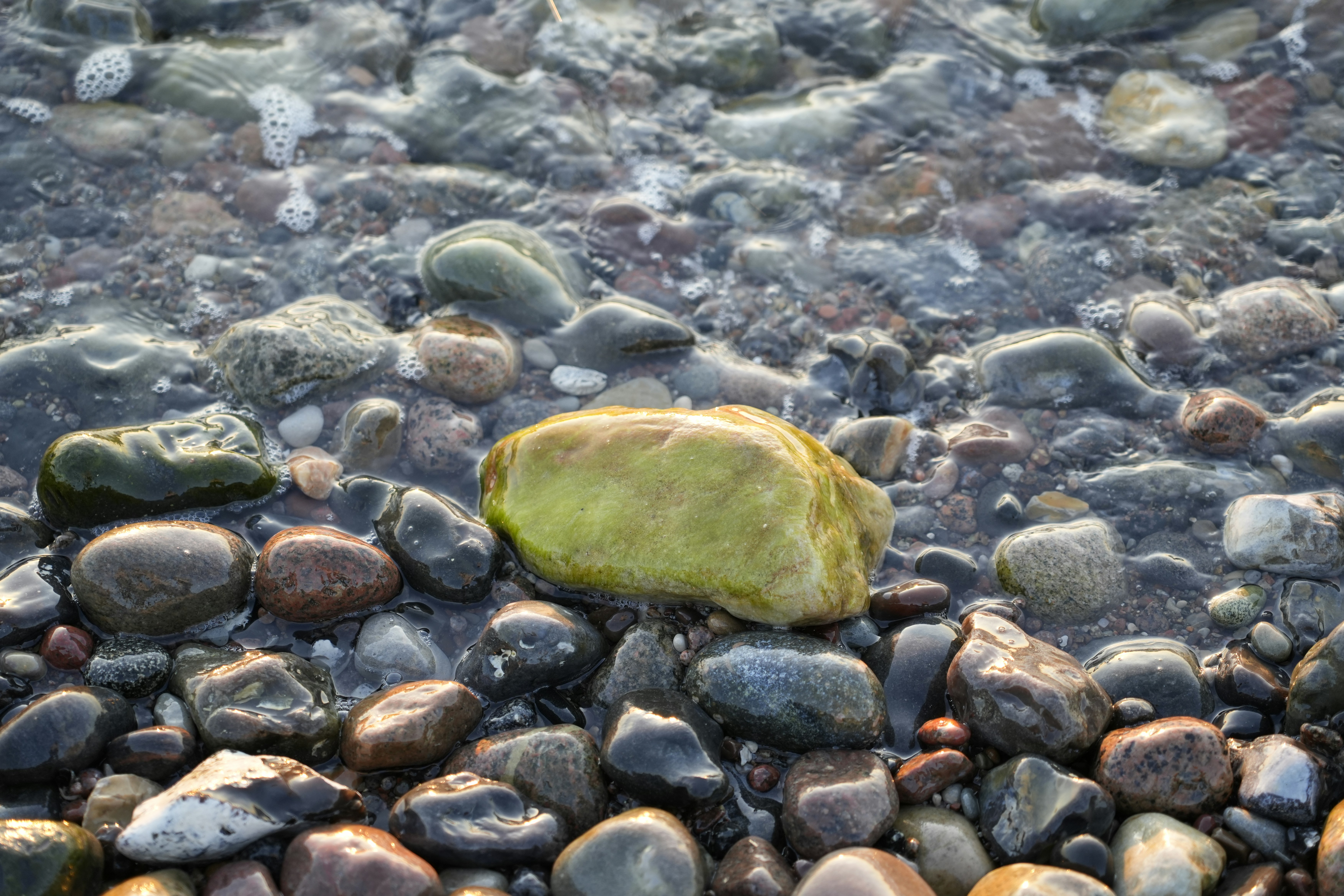 Olive-green Stone among a Pebble Mosaic on a Tidal Bed