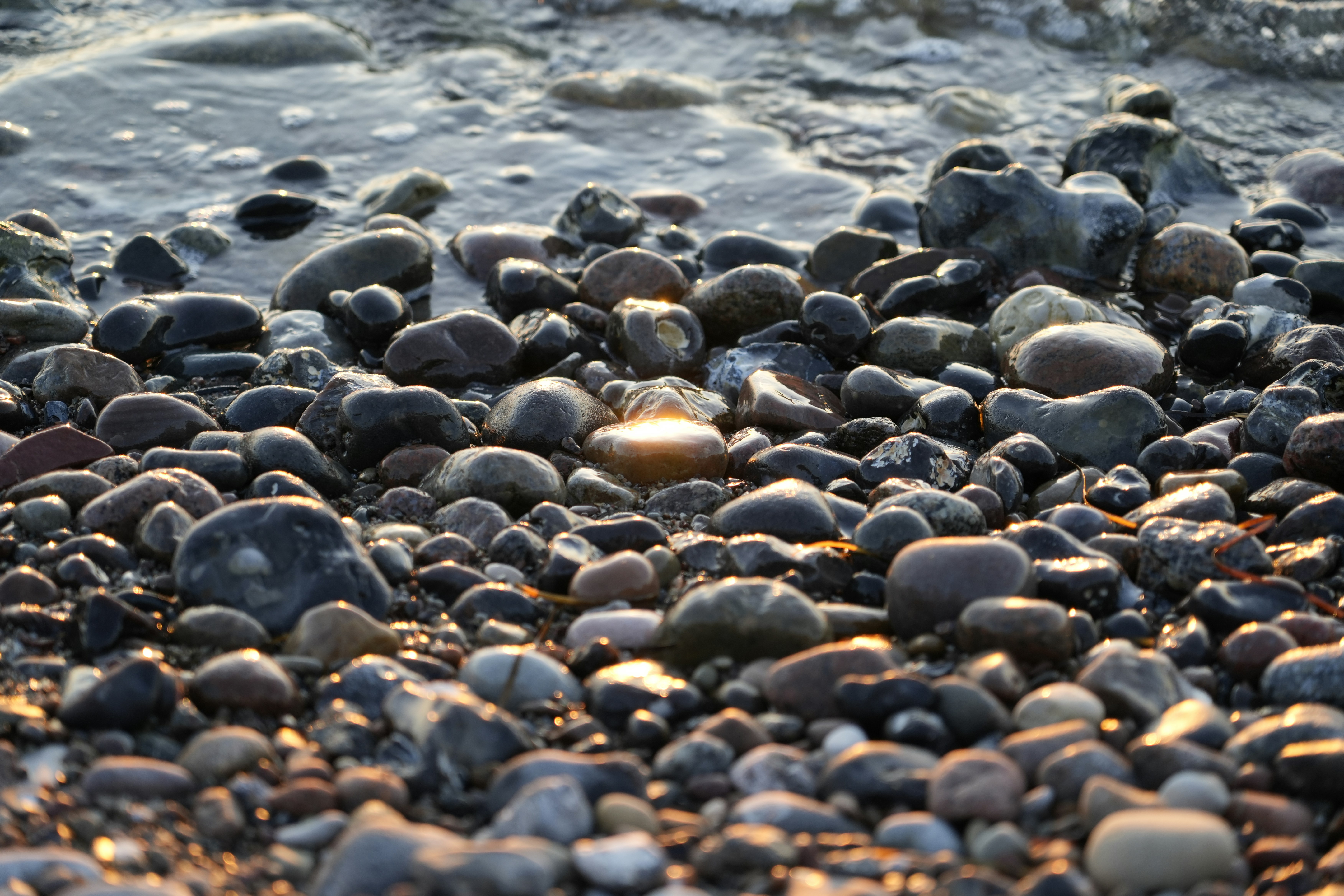 Pebble trail at the waterline: sunlit stones glow along the shore