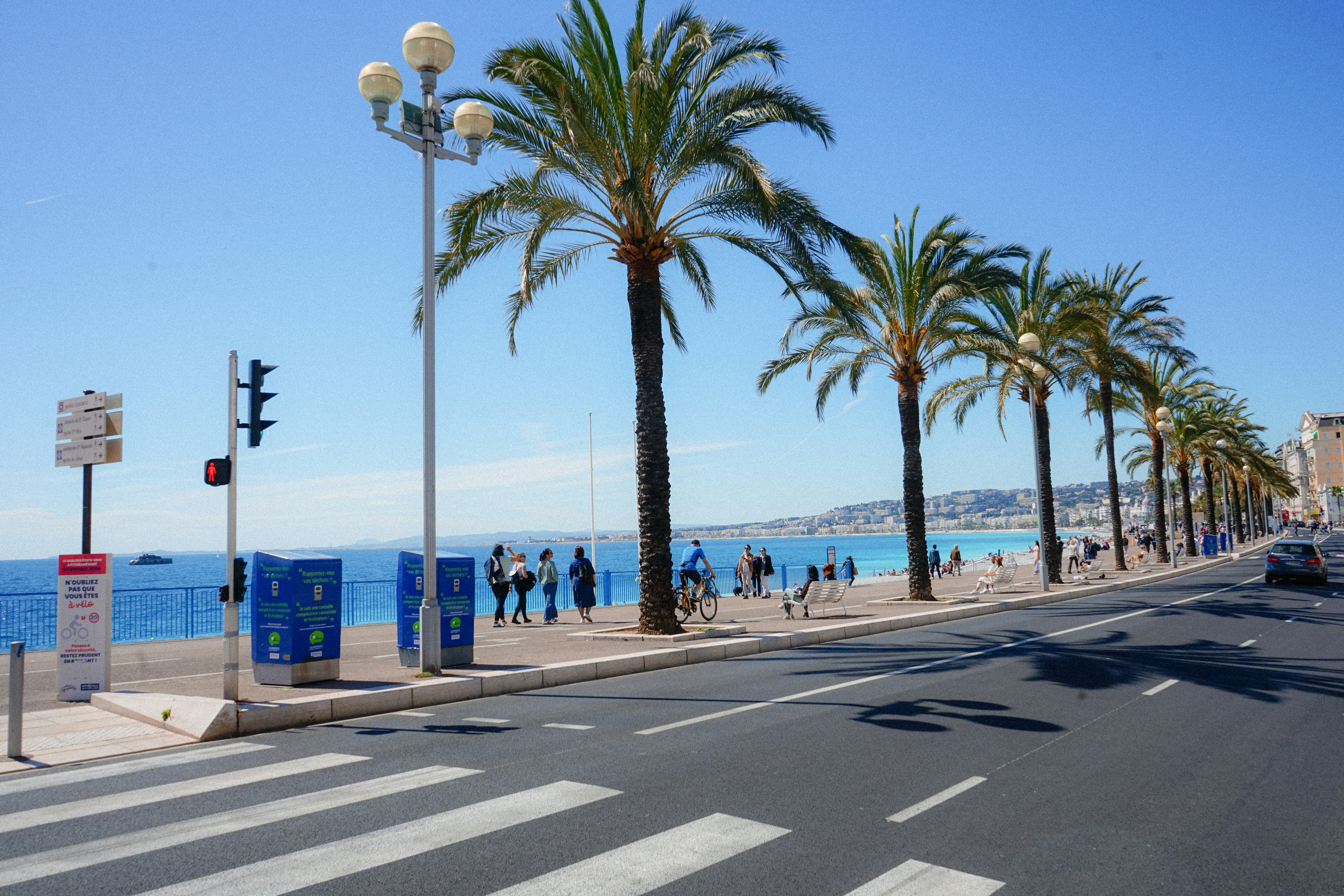 Palm-Shaded Promenade by the Sea