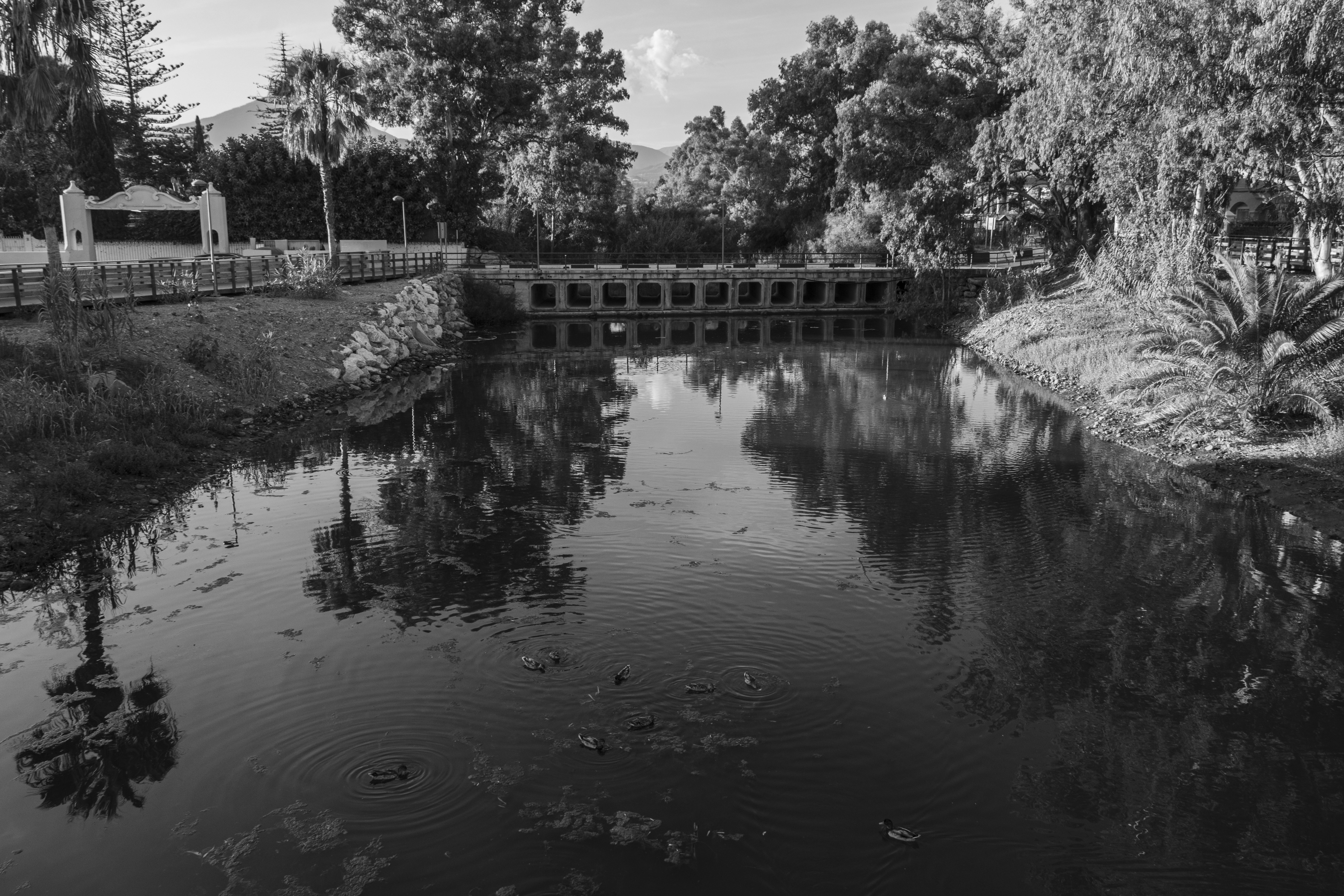 Quiet Lock and Reflection at Dusk