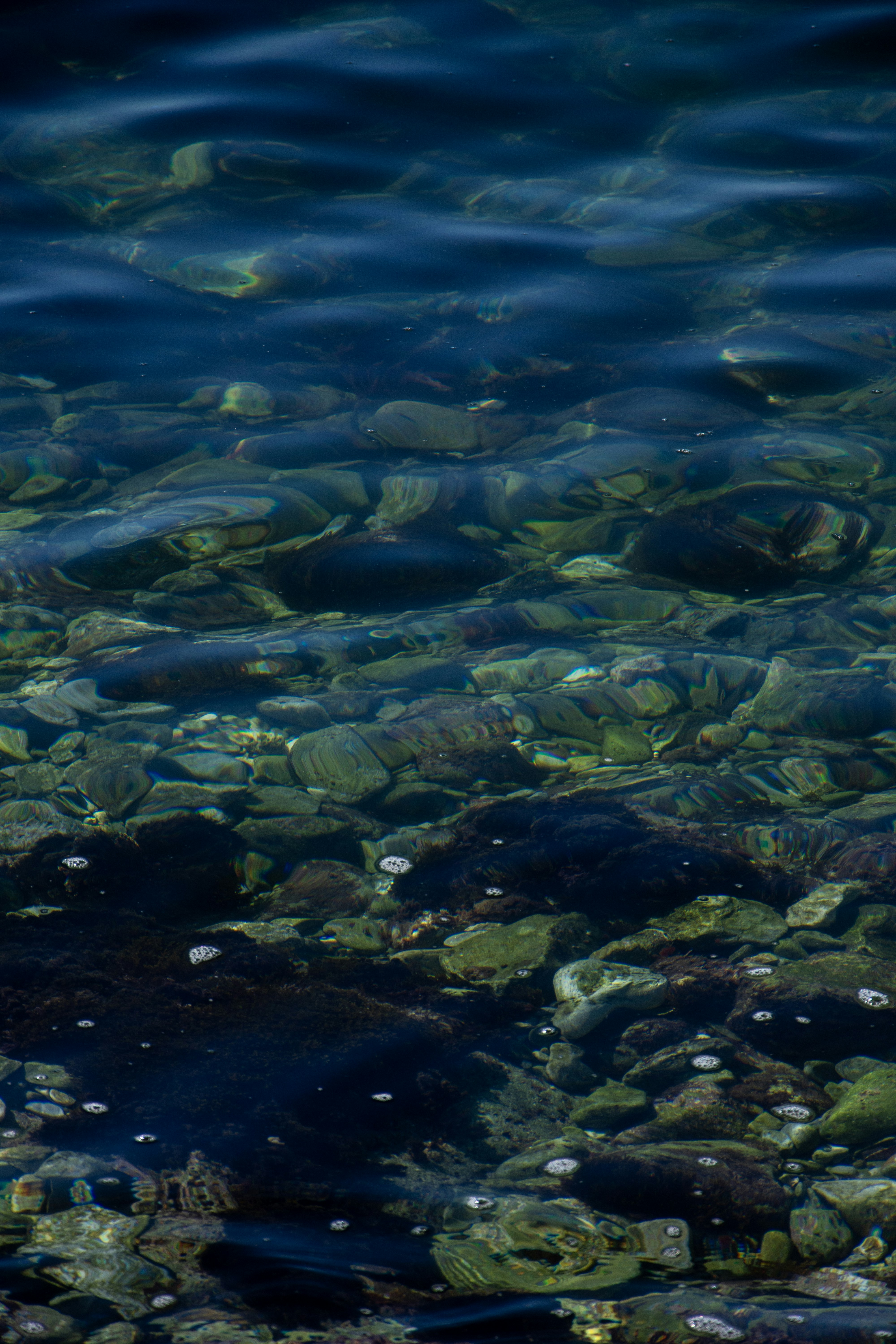 Underwater Mosaic: Stones and Sea Glass in Quiet Depths
