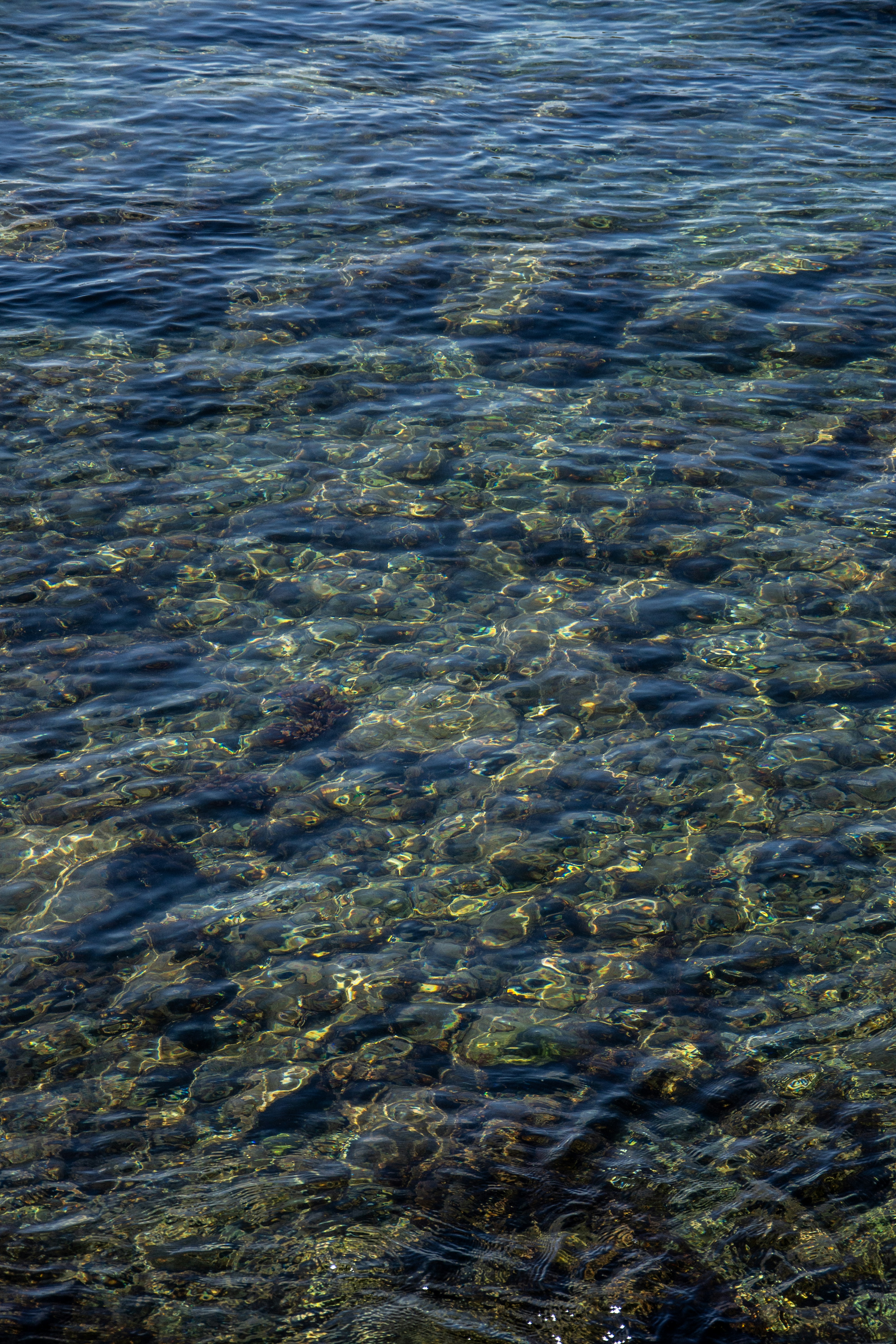 Sunlit Tides: Crystalline Reef Below the Surface