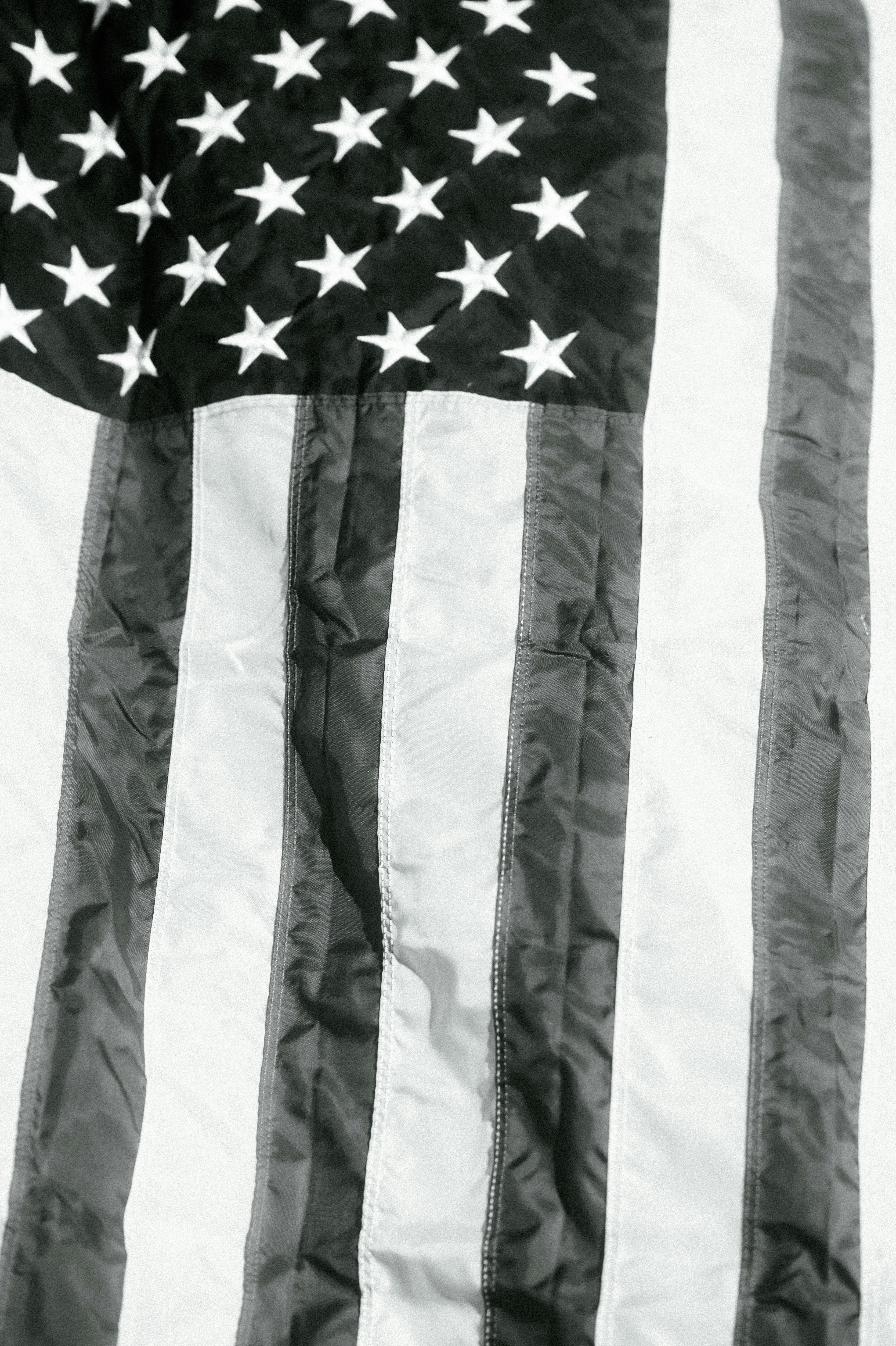 Vertical Stripes of Duty: A Tattered Flag in Quiet Monochrome