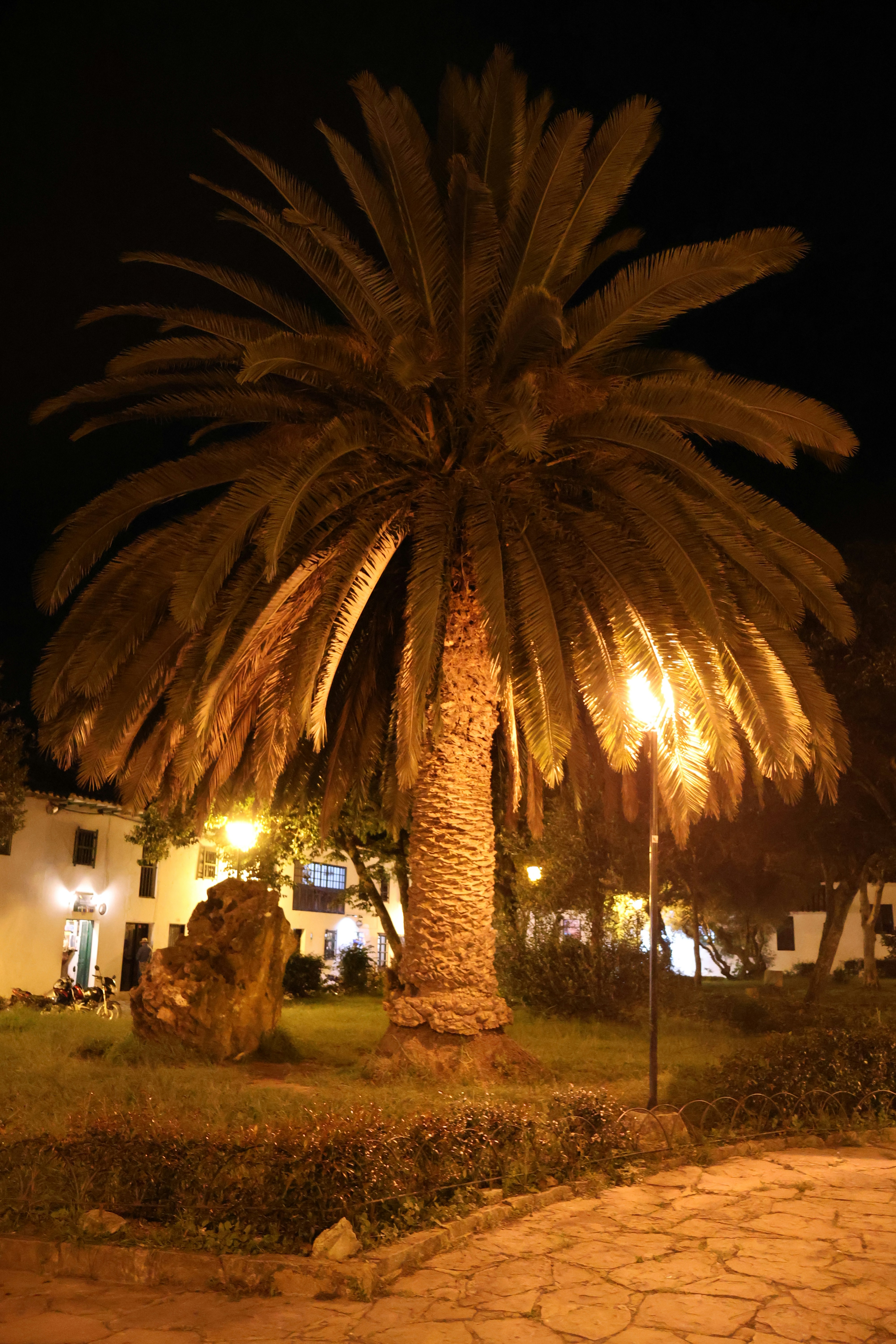 Night Palm Lanterns: A Cozy Plaza Under Amber Skies