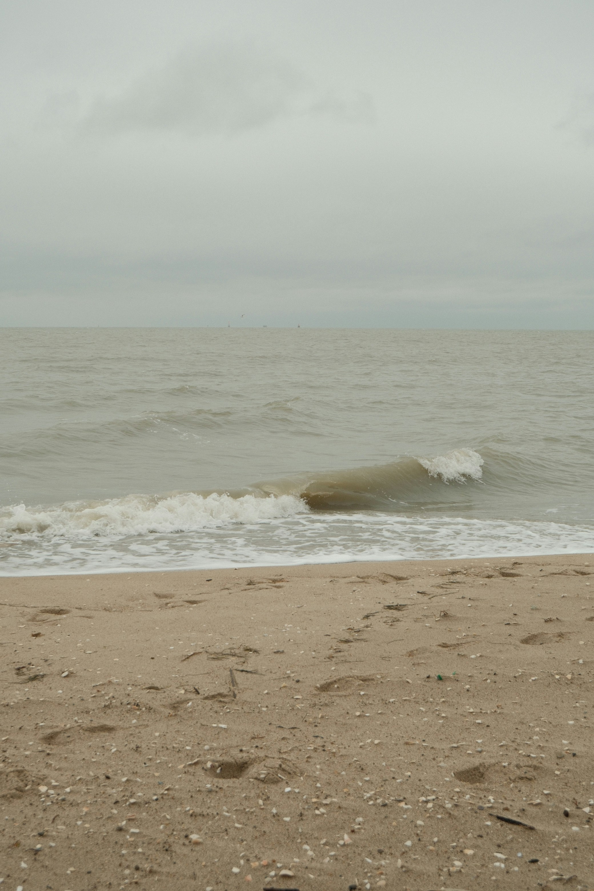 Muted Shoreline: A Quiet Meeting of Sand, Sea, and Sky