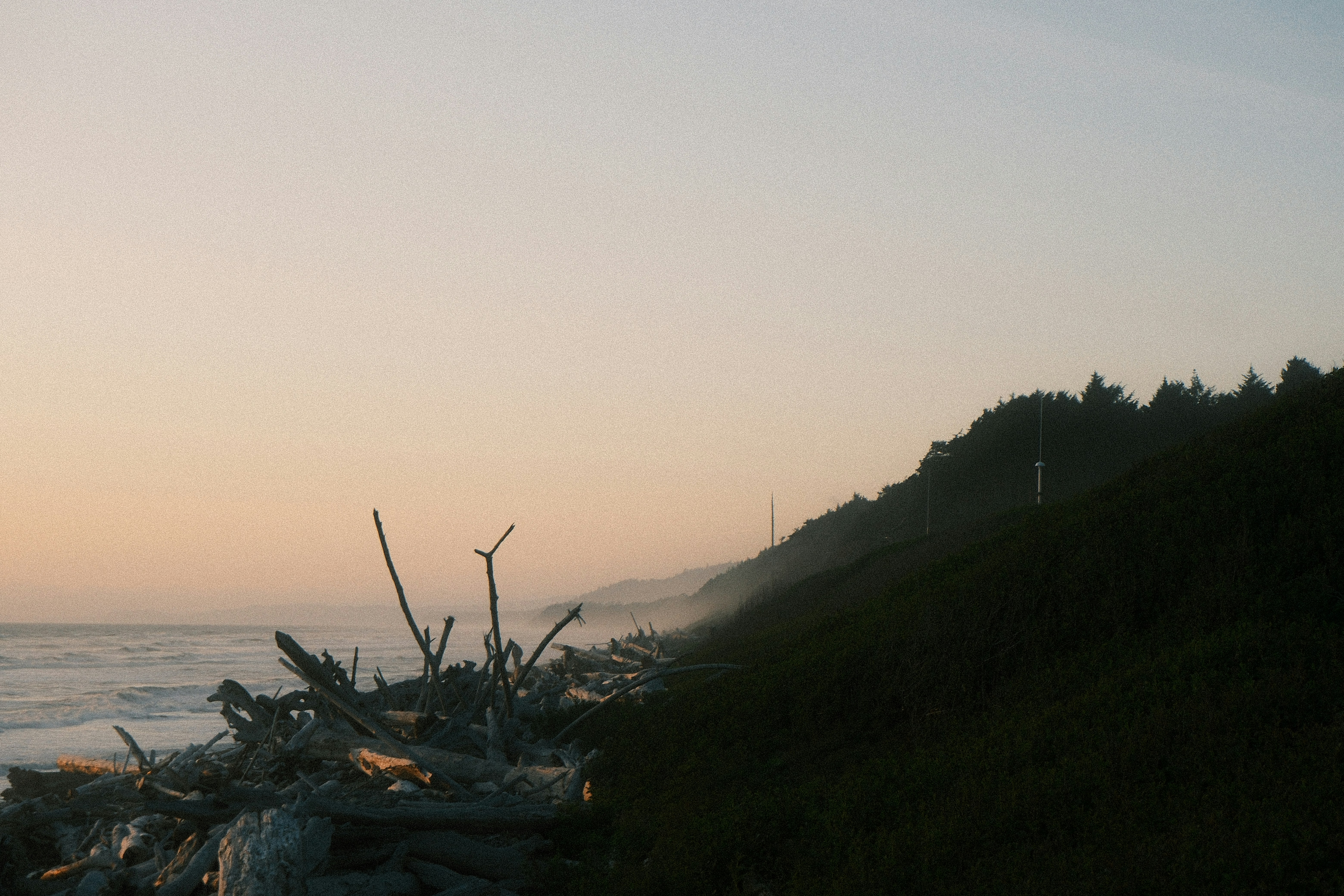 Dusk Silence Along the Driftwood Beach