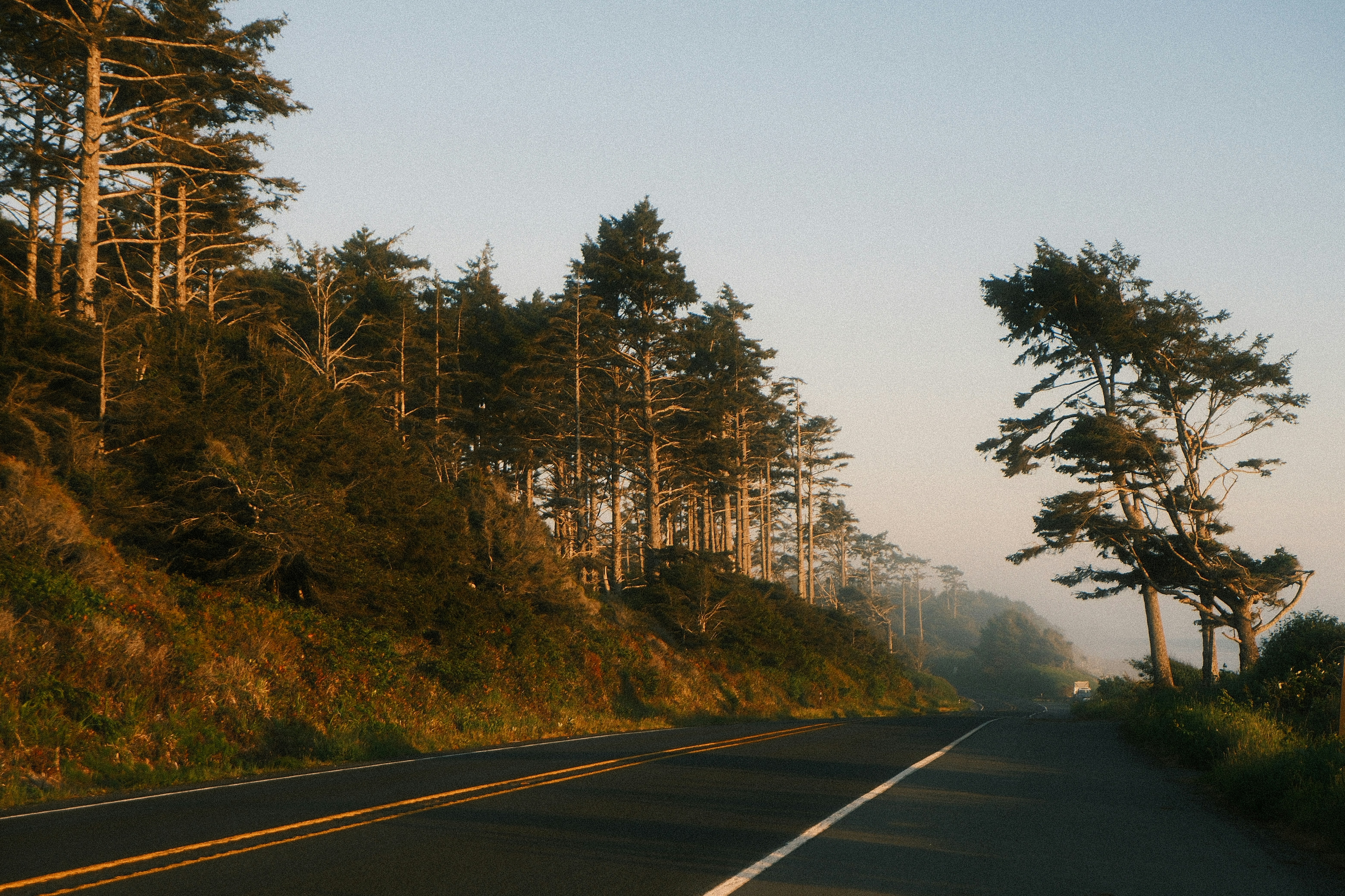 Road to Quiet Pines
