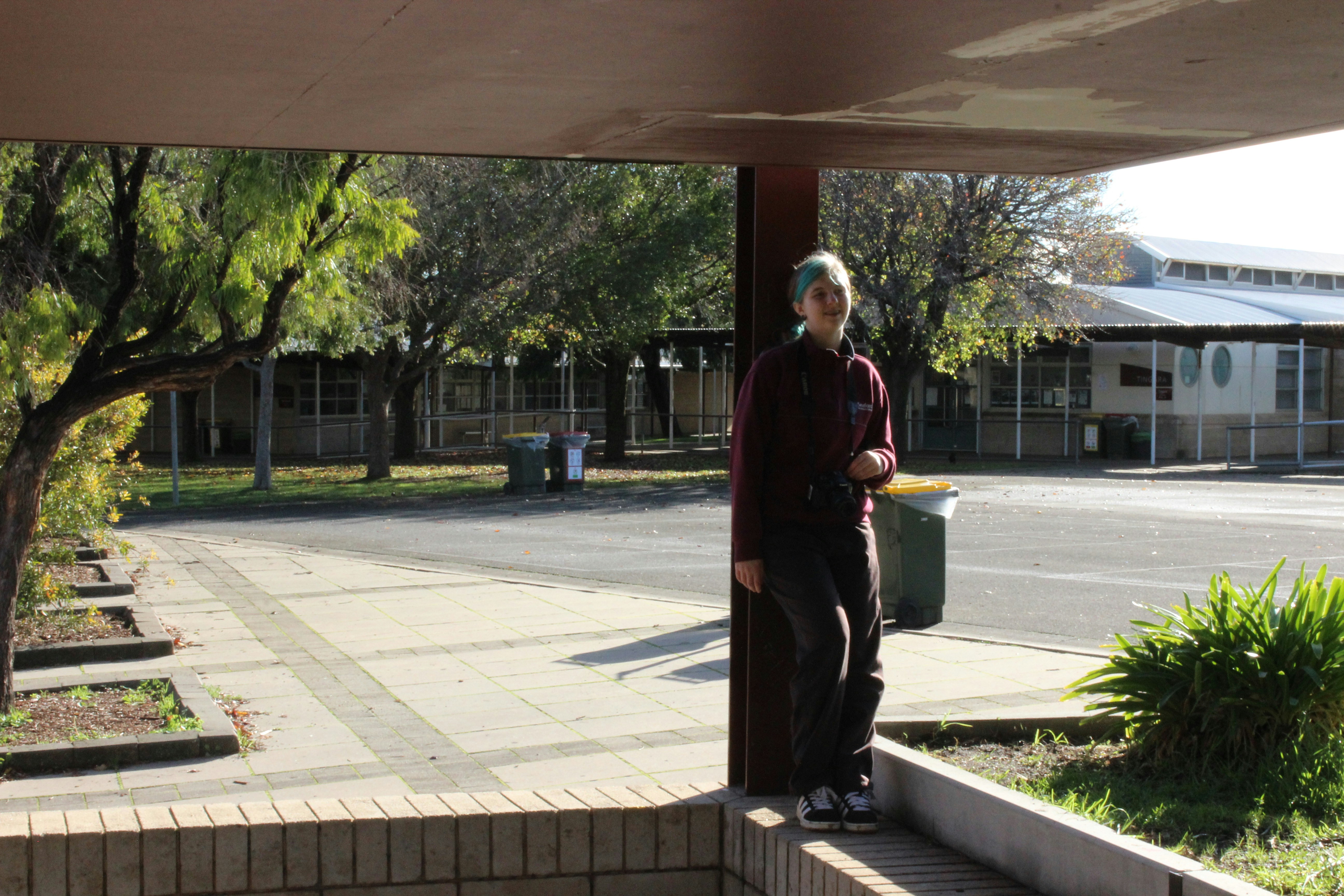 Under the canopy: a lone figure in a campus courtyard