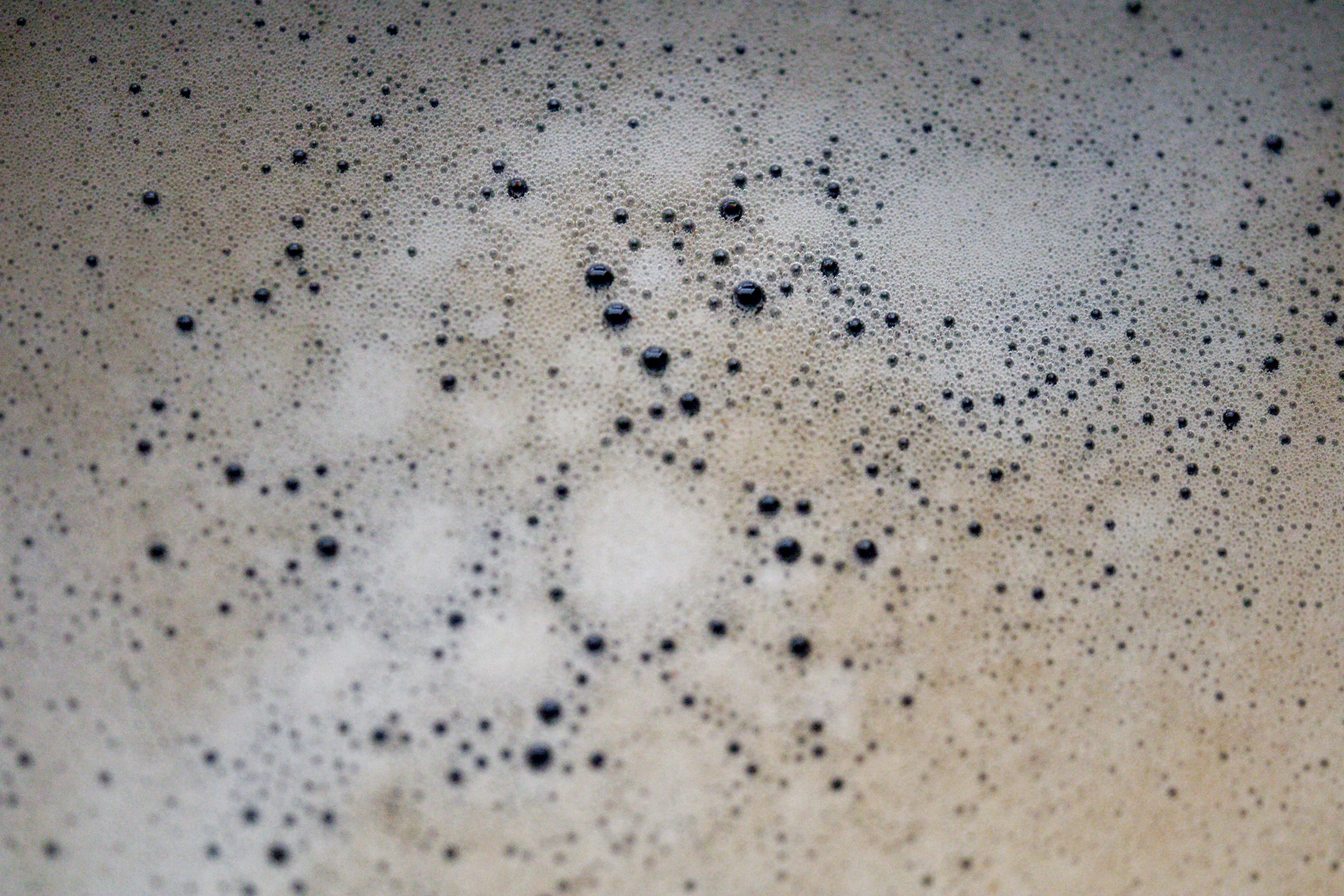 Foam Galaxy: Bubbles Tracing a Creamy Horizon