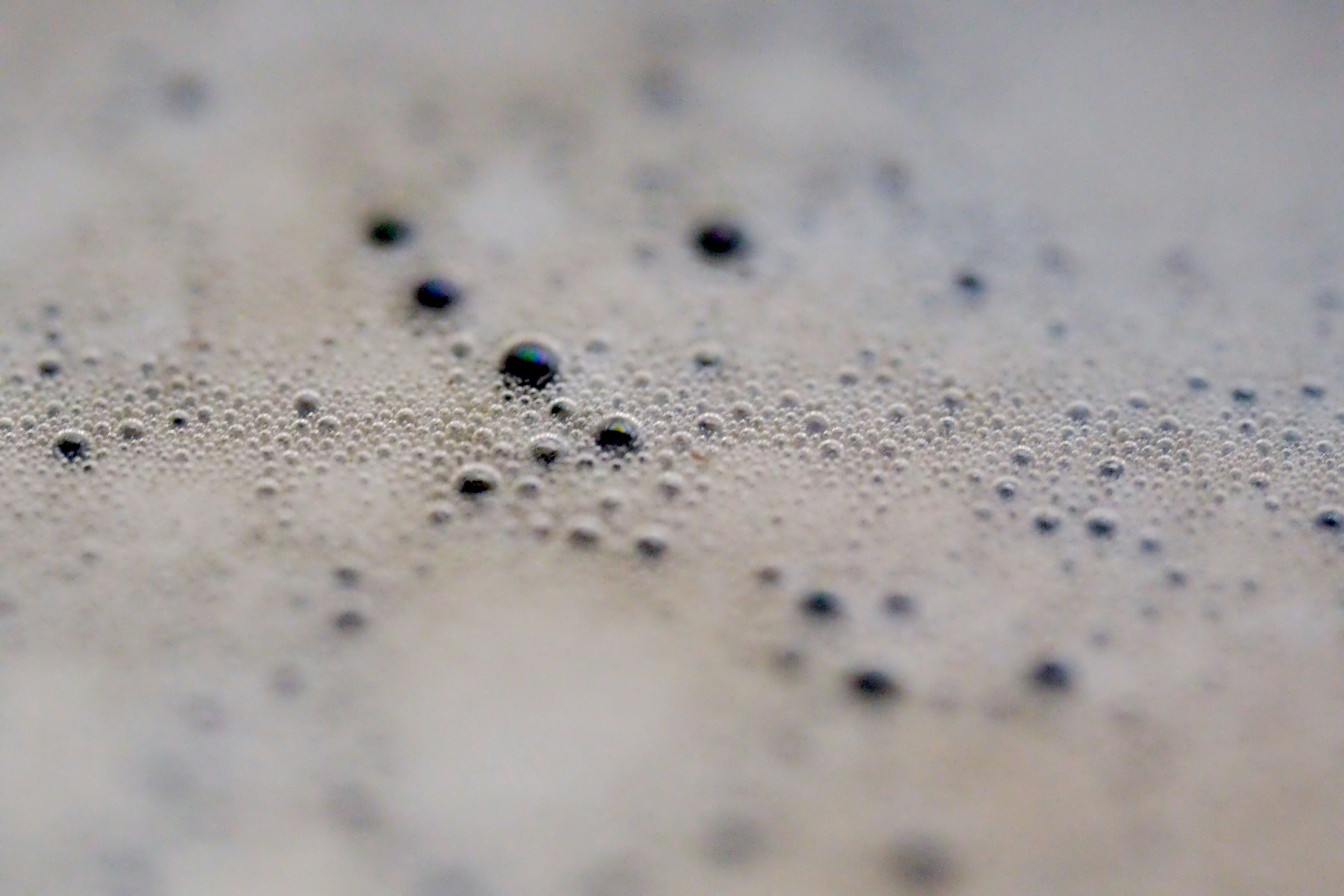Bubbled Surface: Macro Orbs on a Misty Quiet Beach