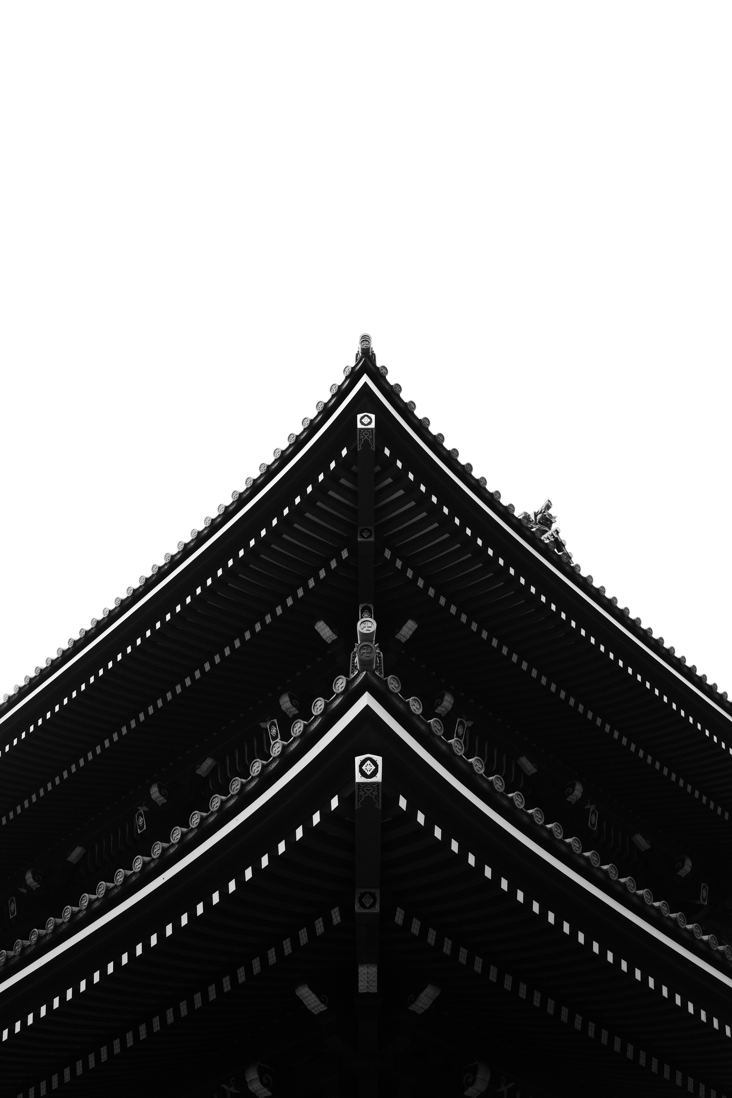 Symmetrical Rooflines: A Monochrome Majesty