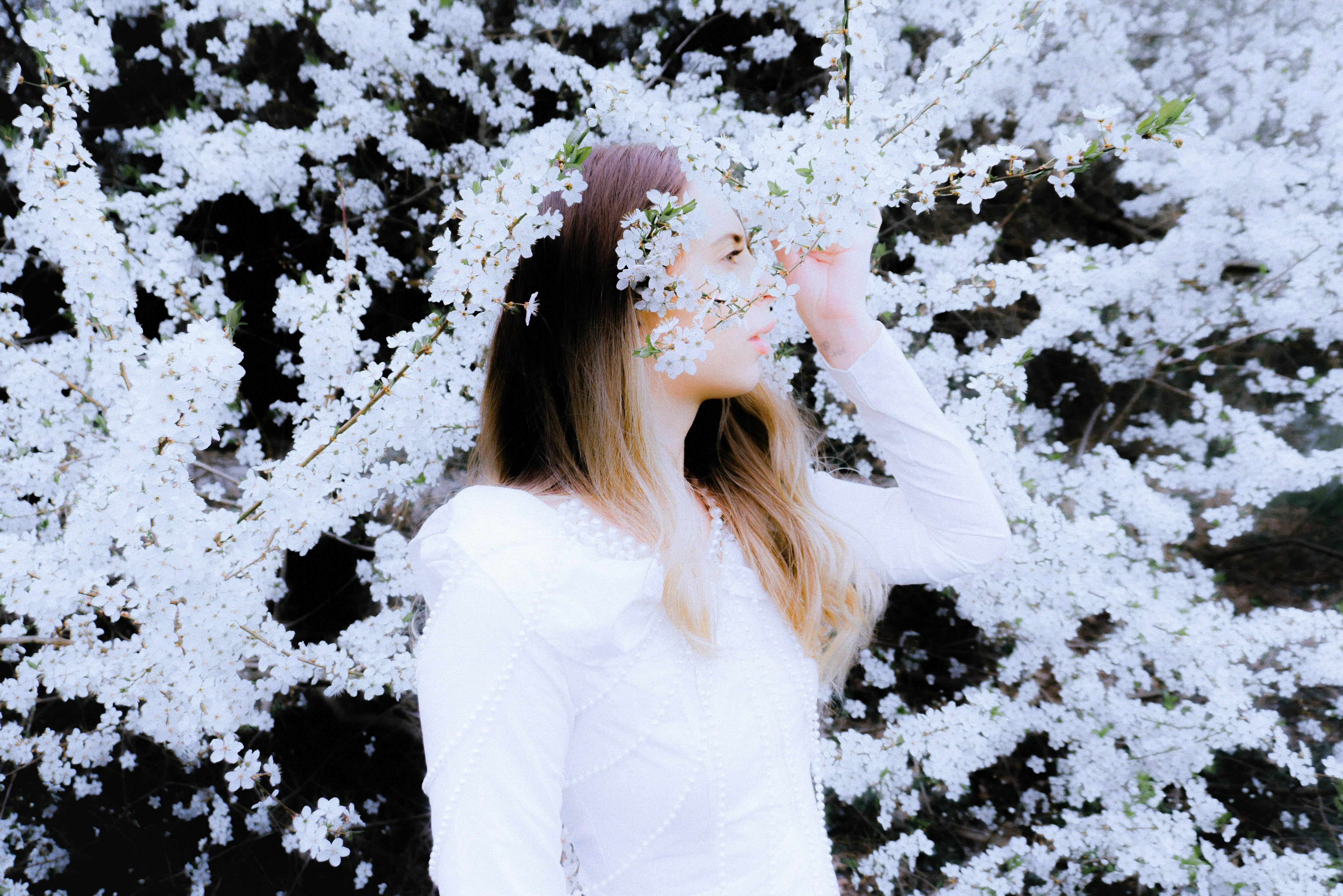 Whispering Petals: Portrait Beneath a Blooming Canopy