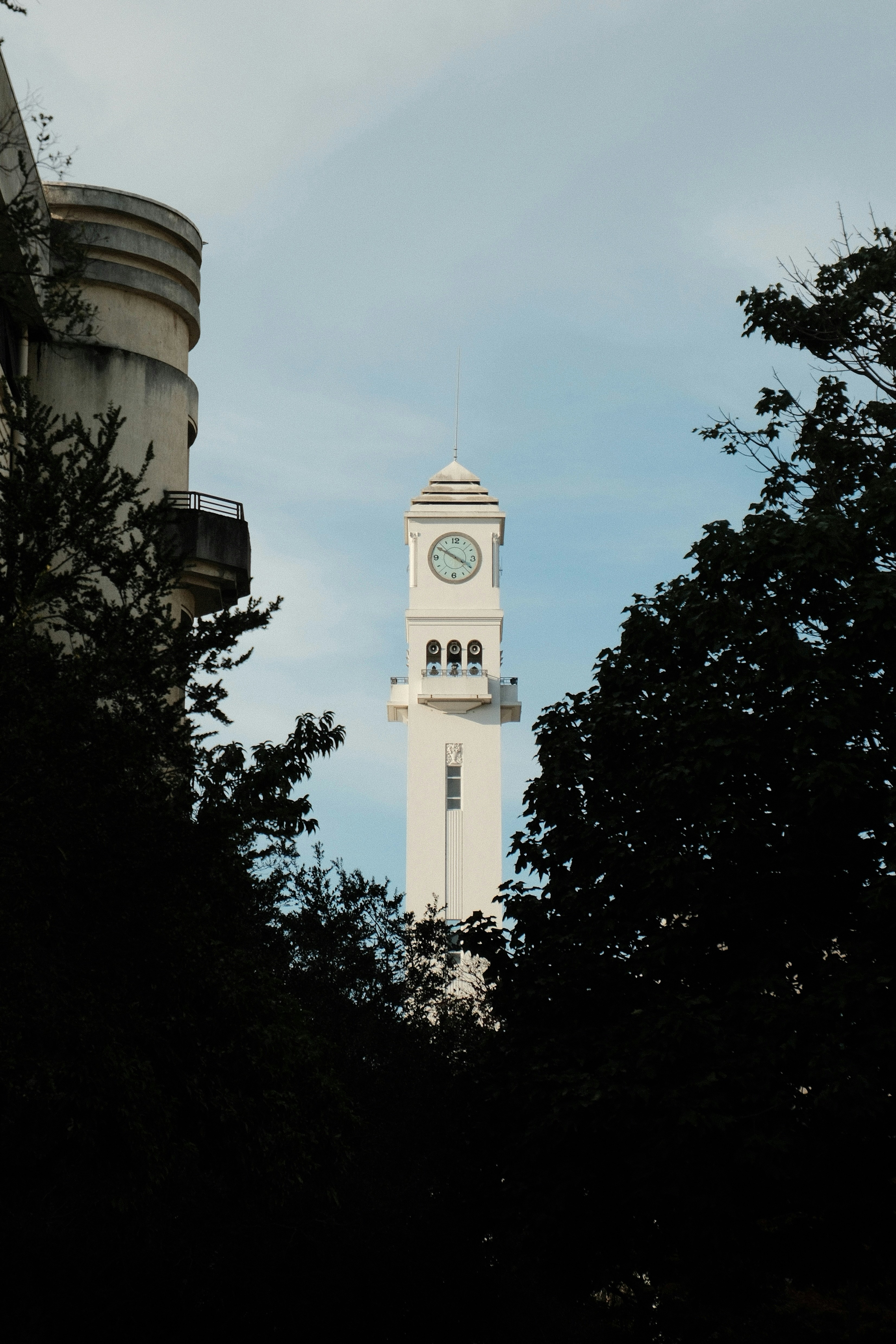 Clock Tower Piercing Through the Canopy