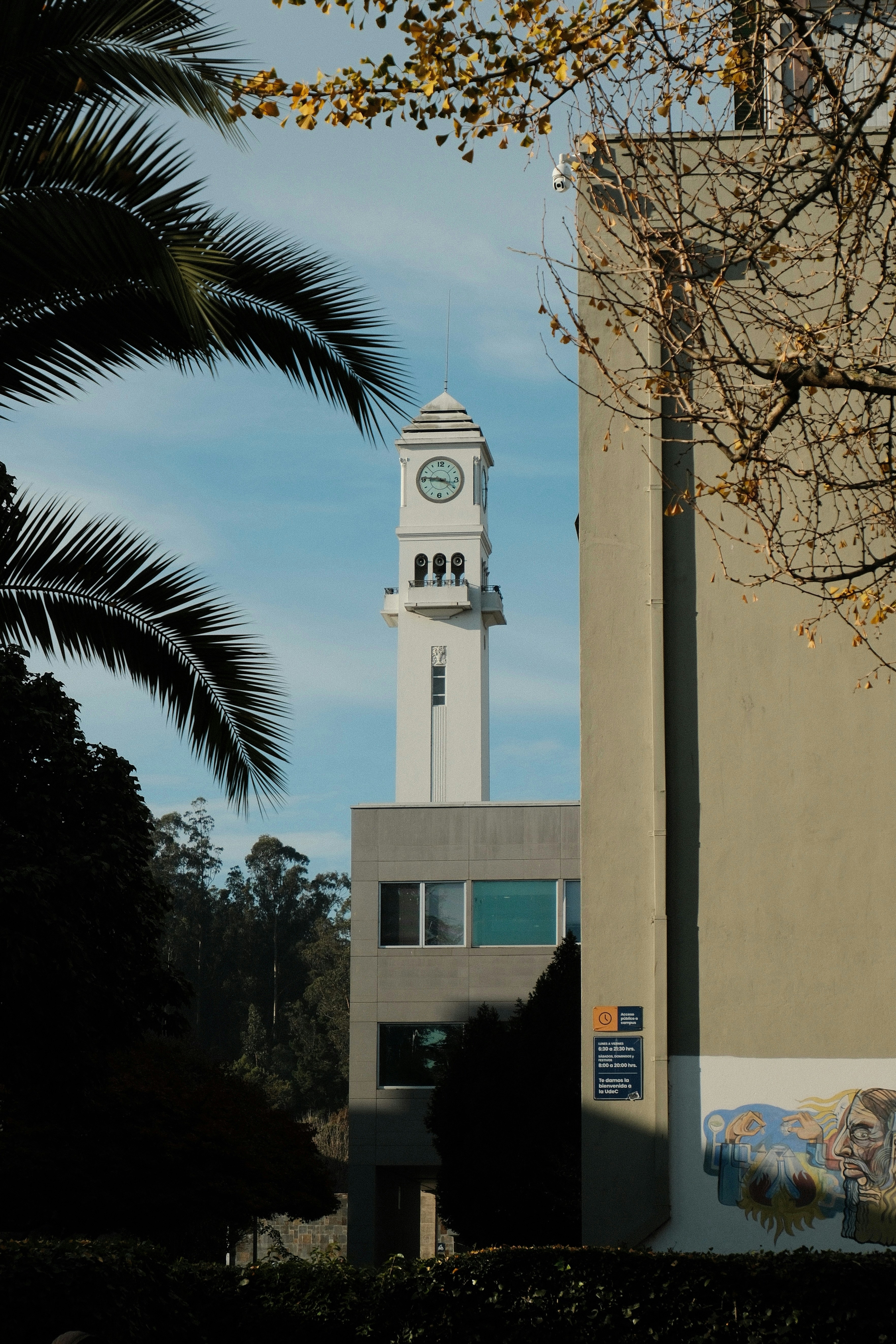 Clock Tower Above the Urban Spine