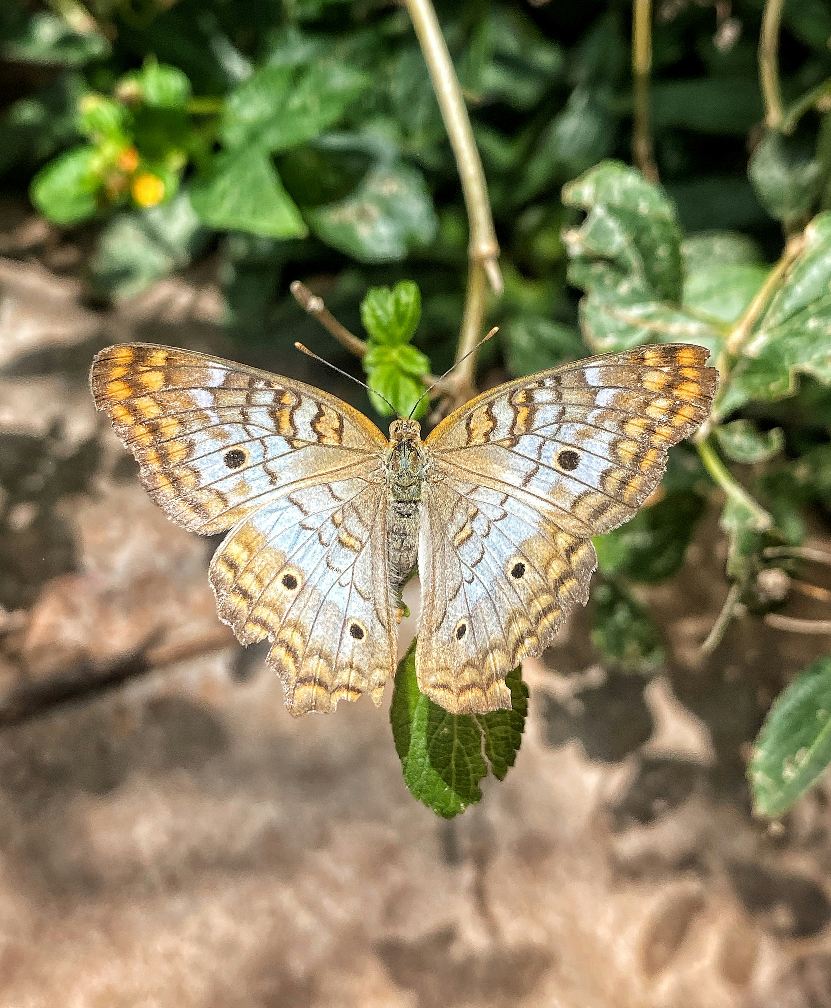 Shirley Cairns (@scairns5) | Unsplash 사진 커뮤니티