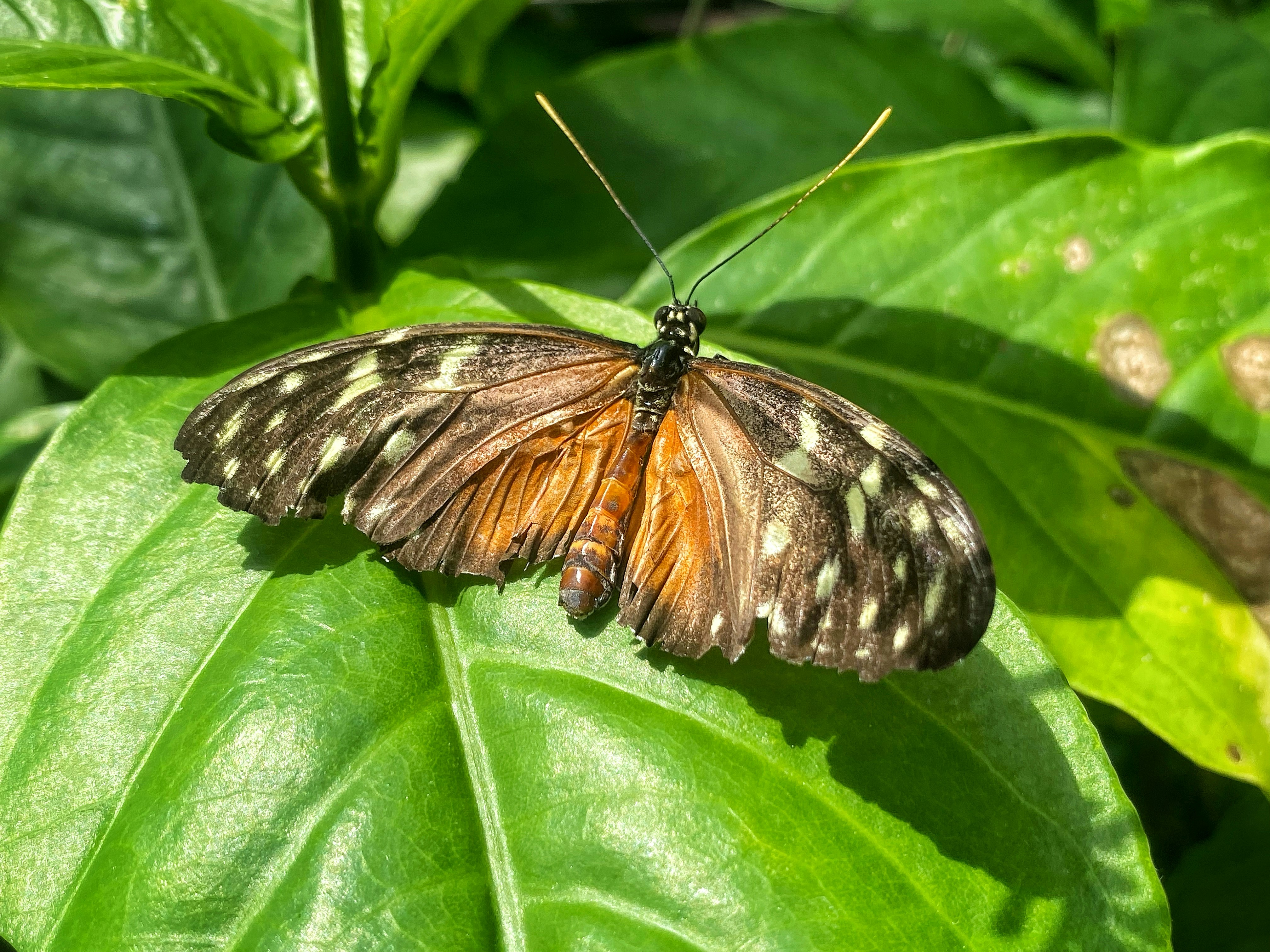 Shirley Cairns (@scairns5) | Unsplash 사진 커뮤니티
