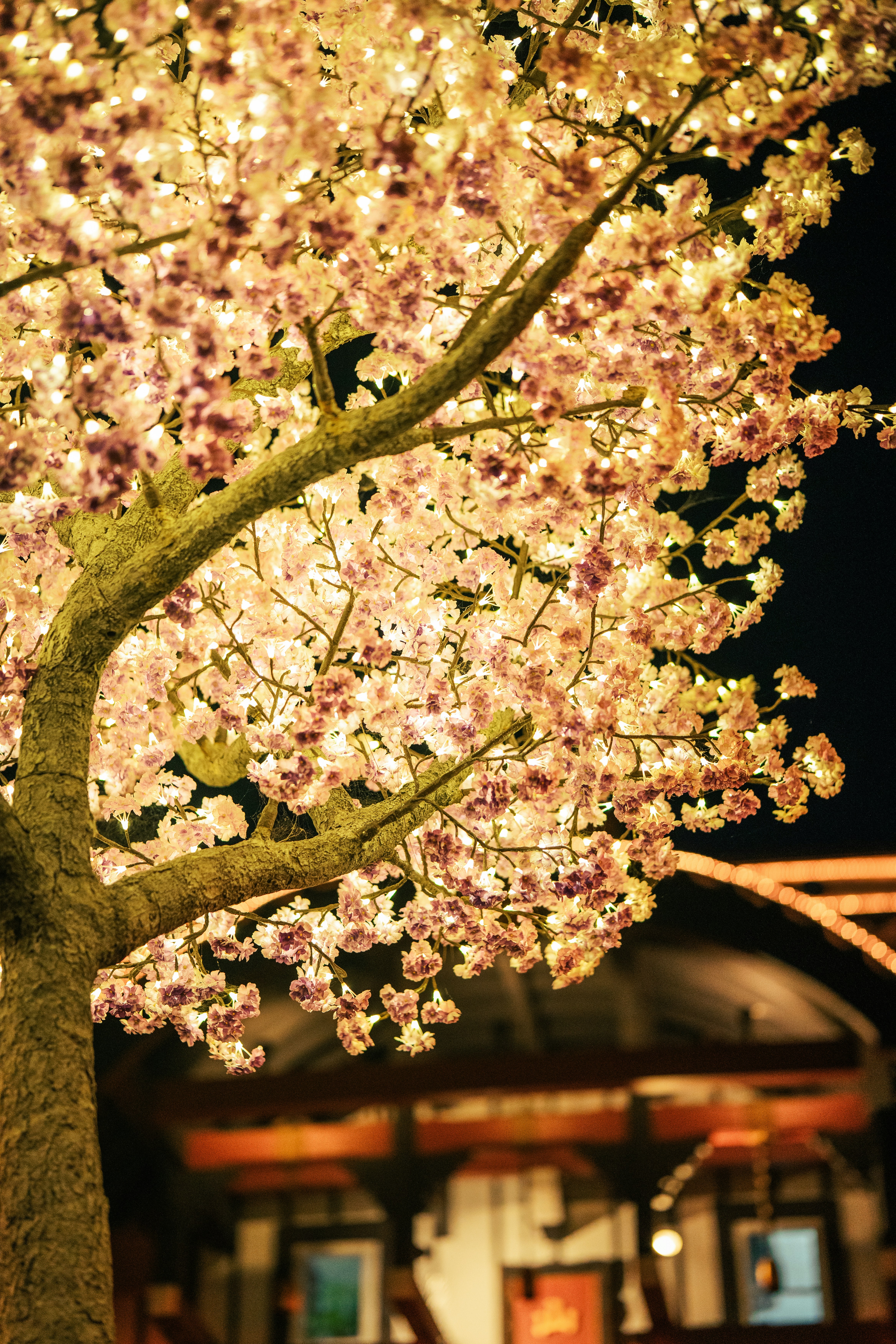Moonlit Sakura Canopy Over a Traditional Structure