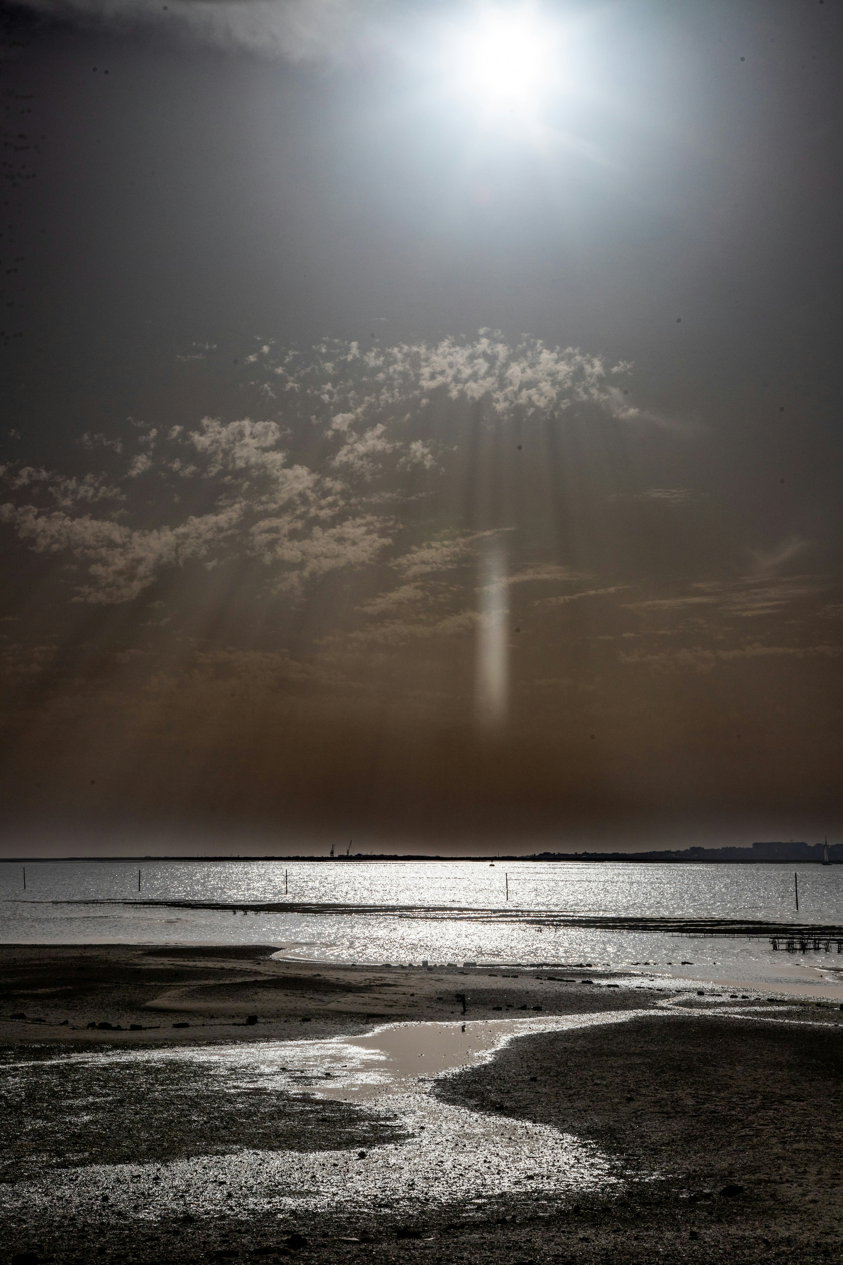 Sunlit Tides: A Quiet Shore under a Bleached Sky