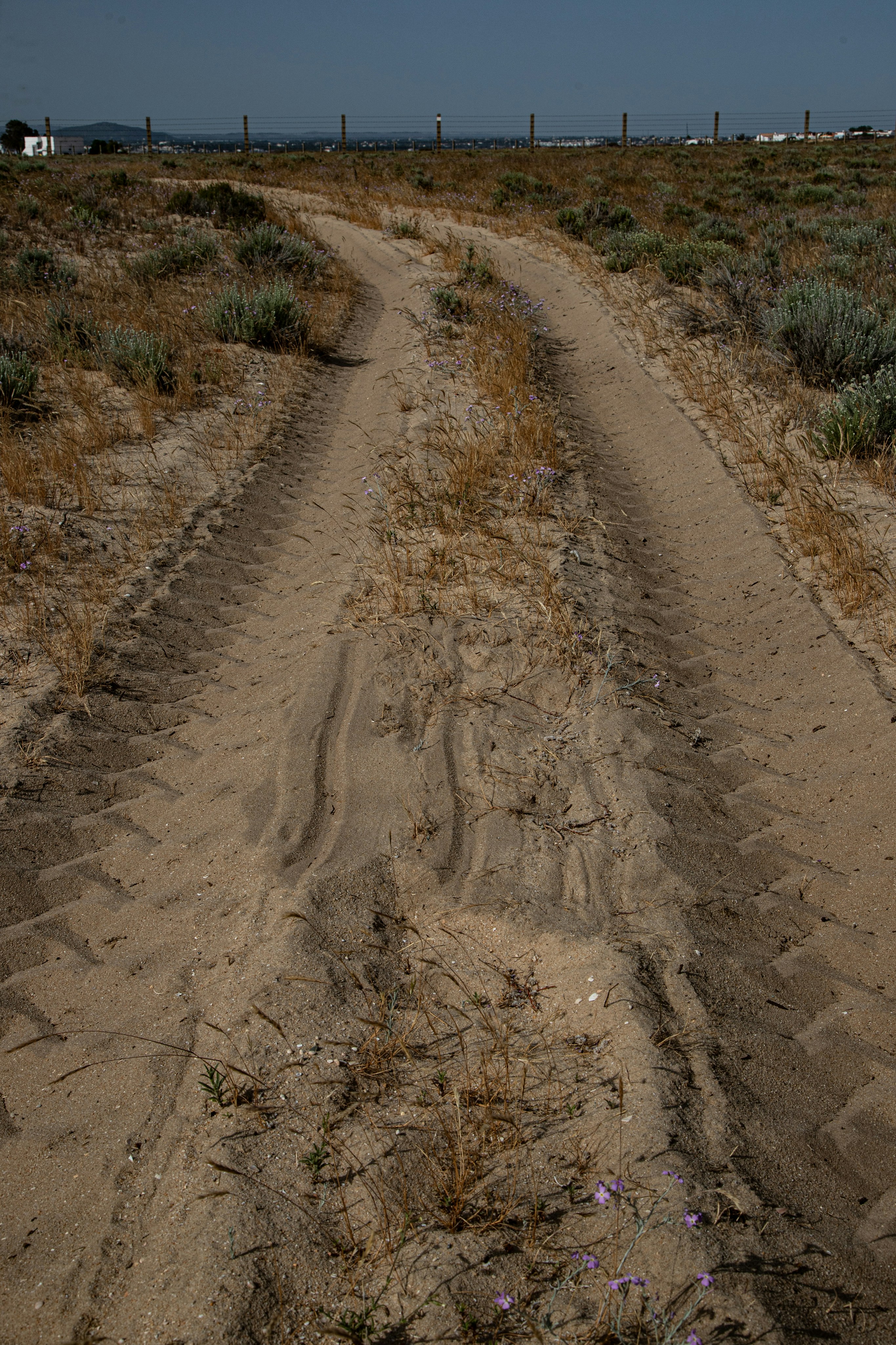 Rutted Sand Path Toward the Distant Coastline