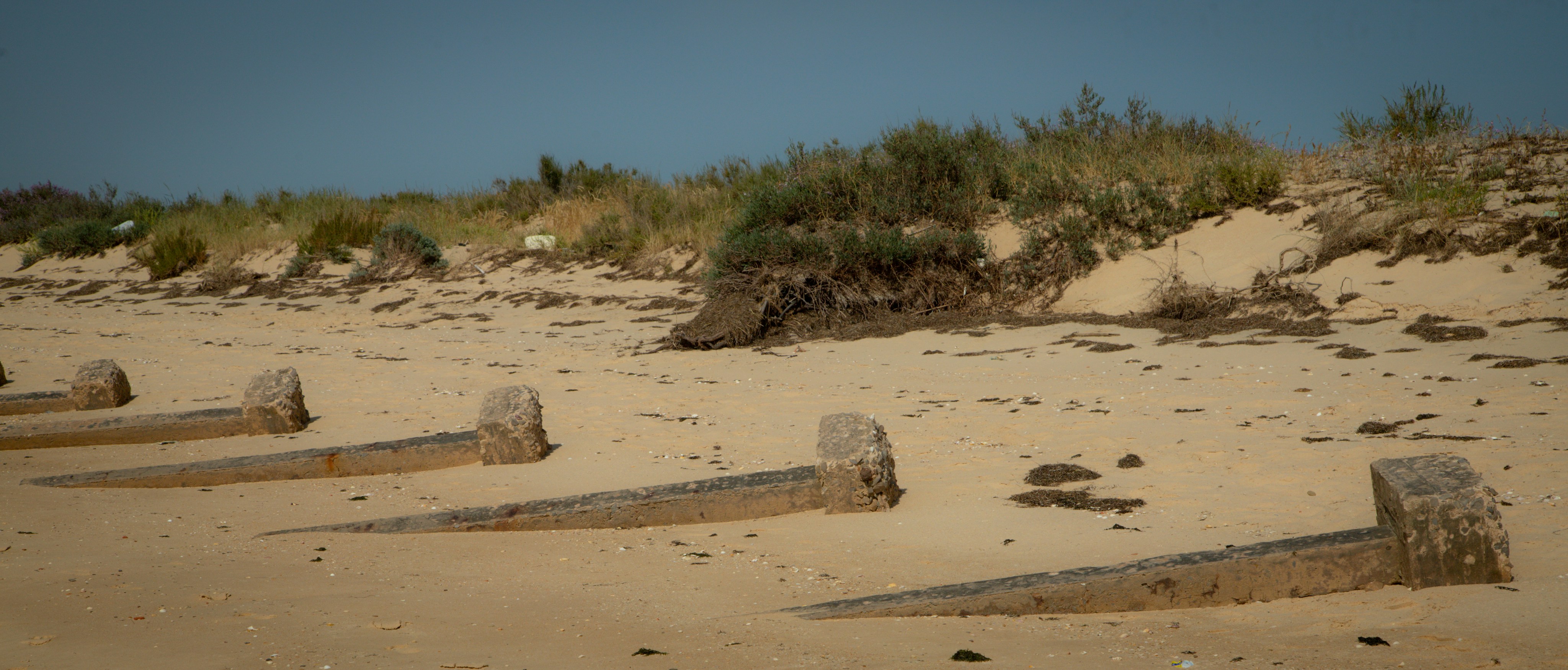 Deserted Shoreline with Weathered Barriers