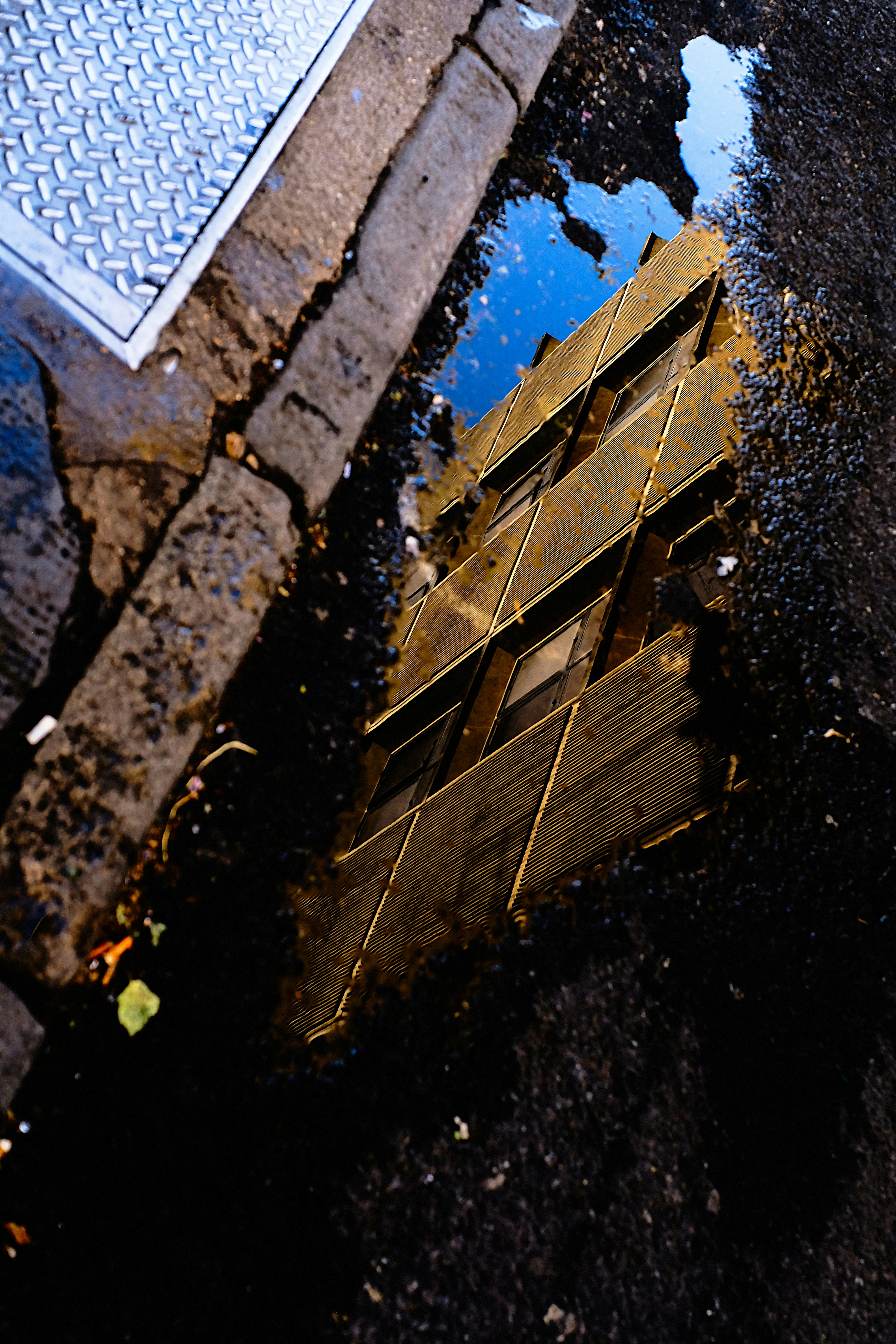 Reflected Windows in a Rainy Alley