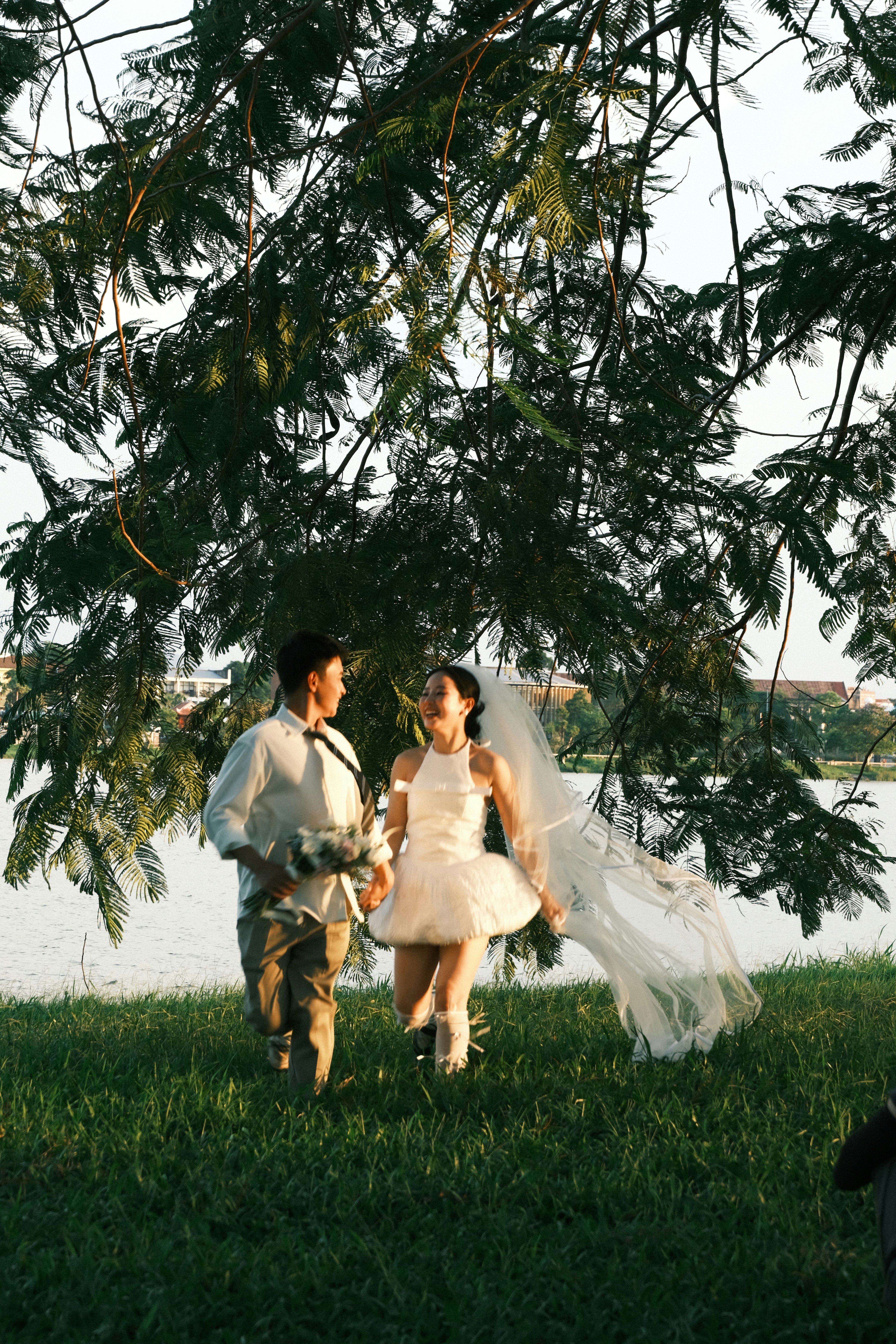 Sunlit Veil: Two Hearts in a Grassy Rendezvous