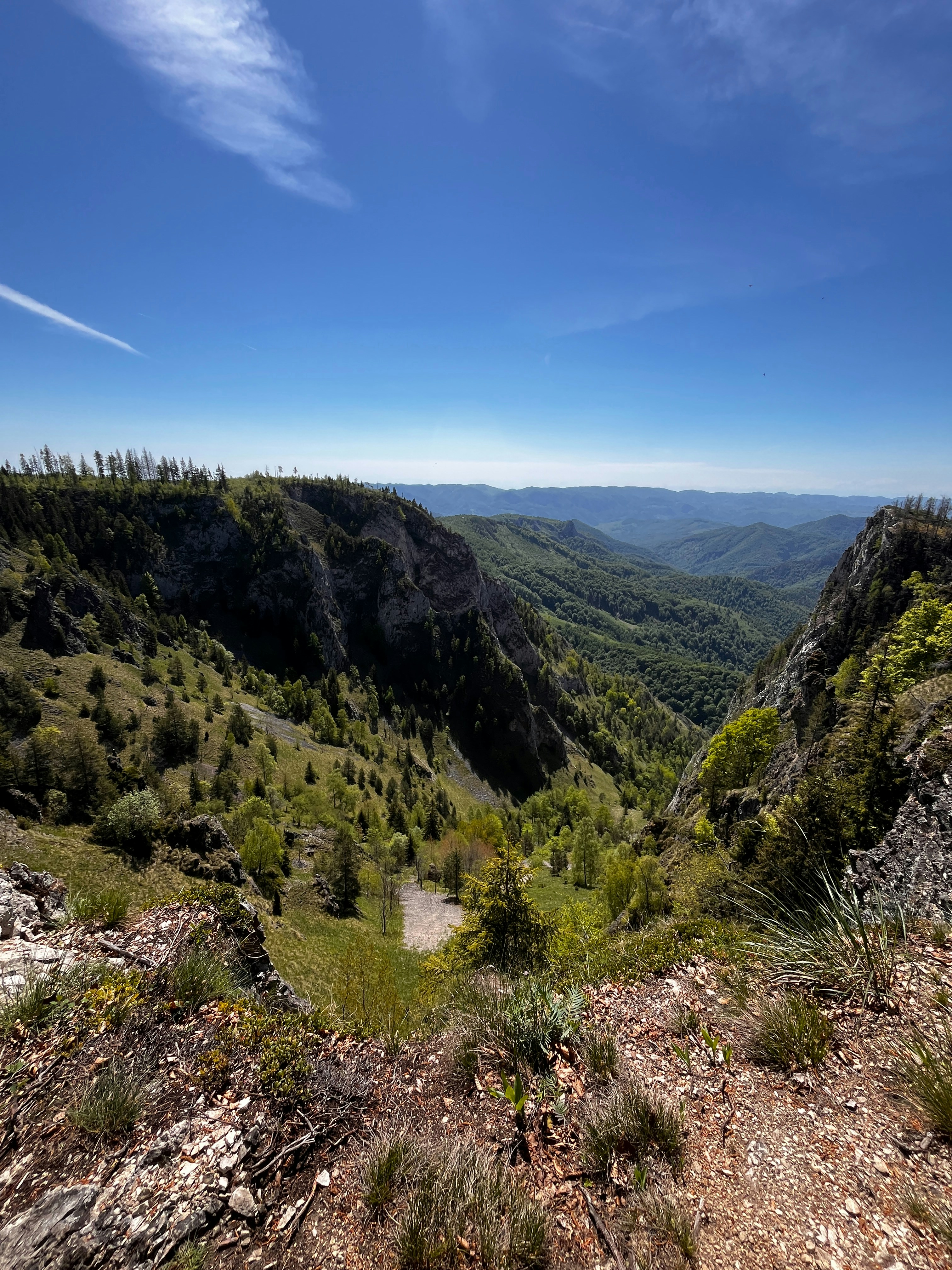 Verdant Abyss: A Mountain Valley Opens Under a Clear Blue Sky
