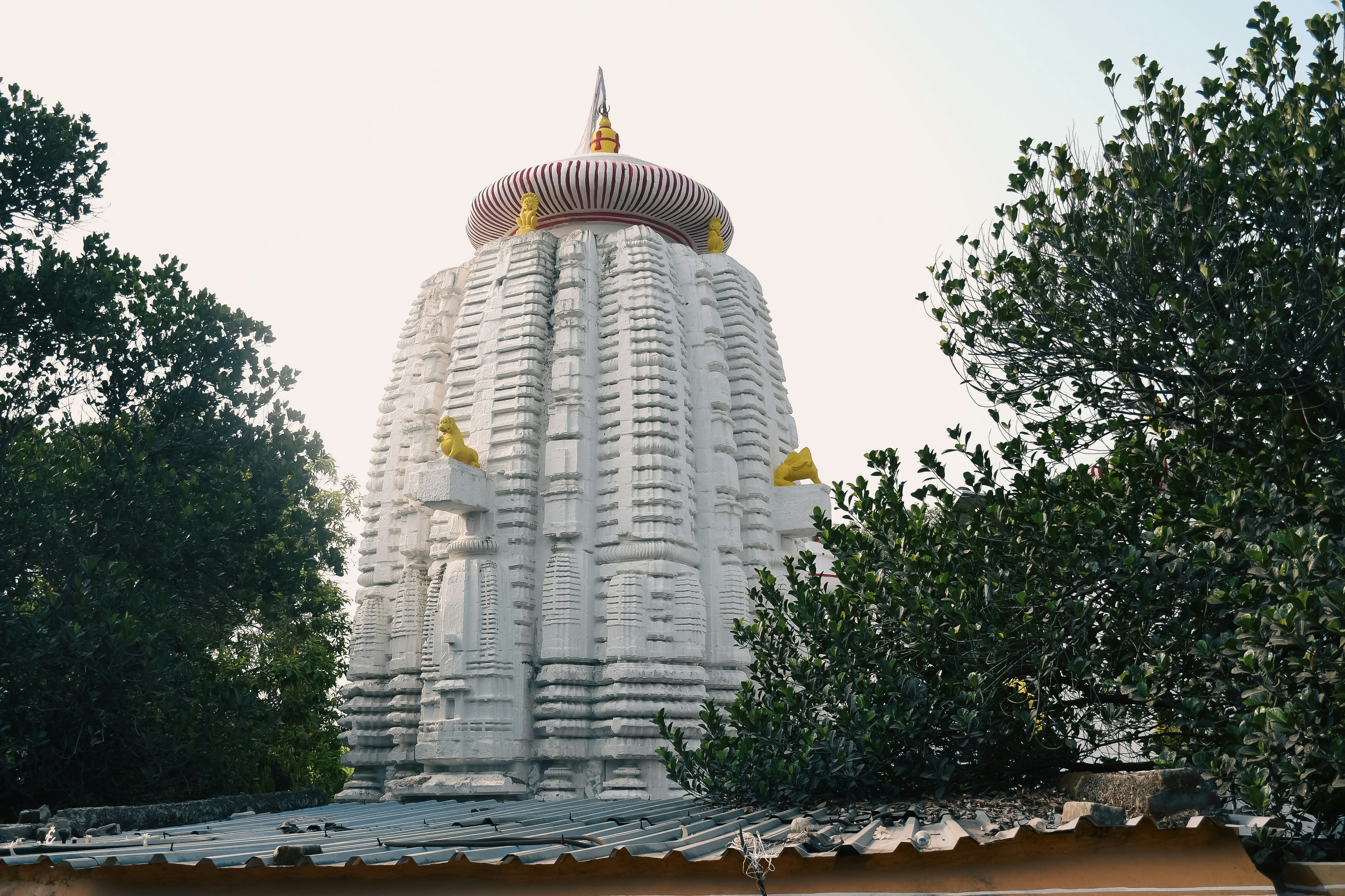 Whispering White Stupa Against Verdant Edges