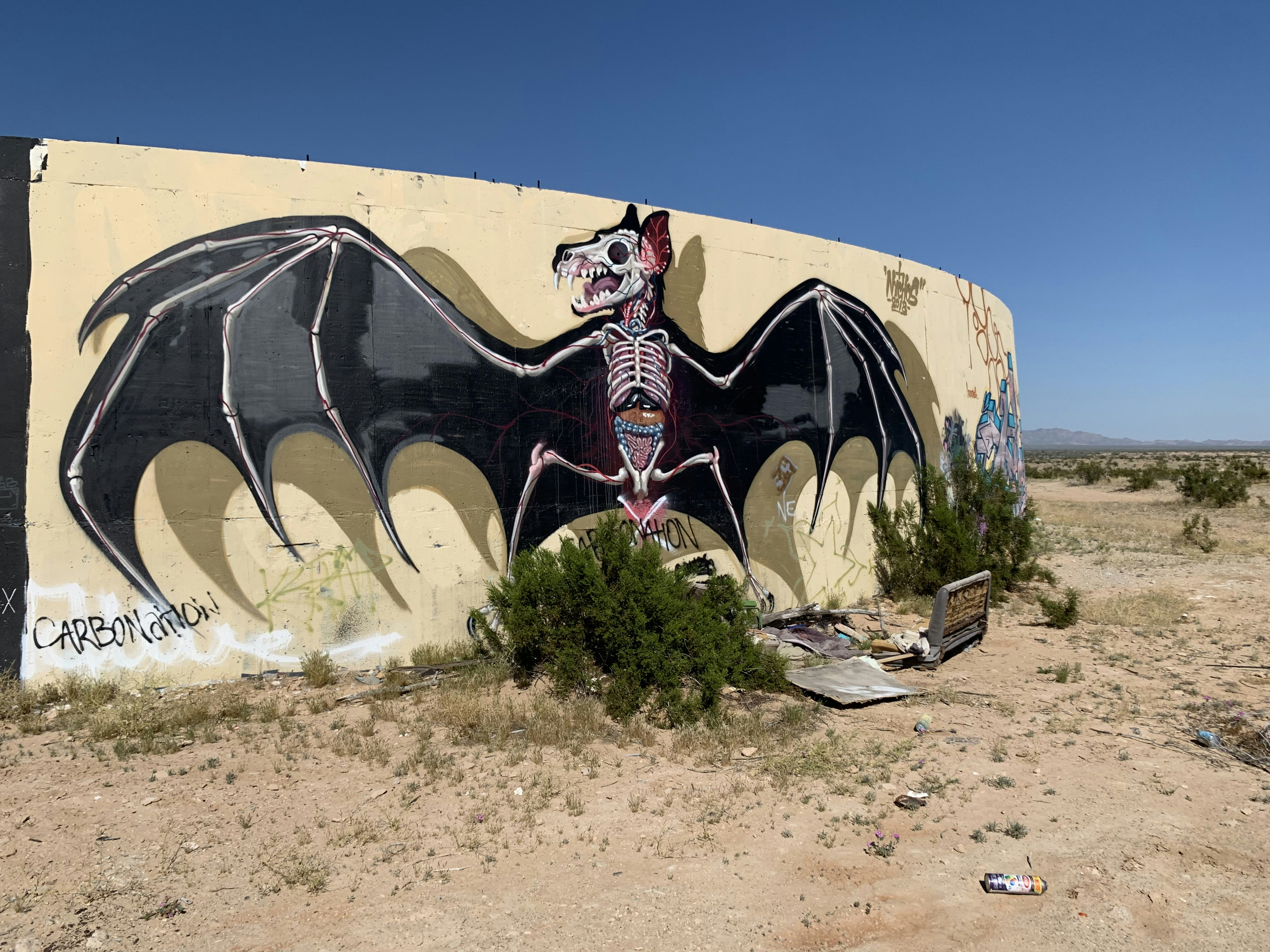 Desert Wall Dragon: Graffiti and Distant Horizon