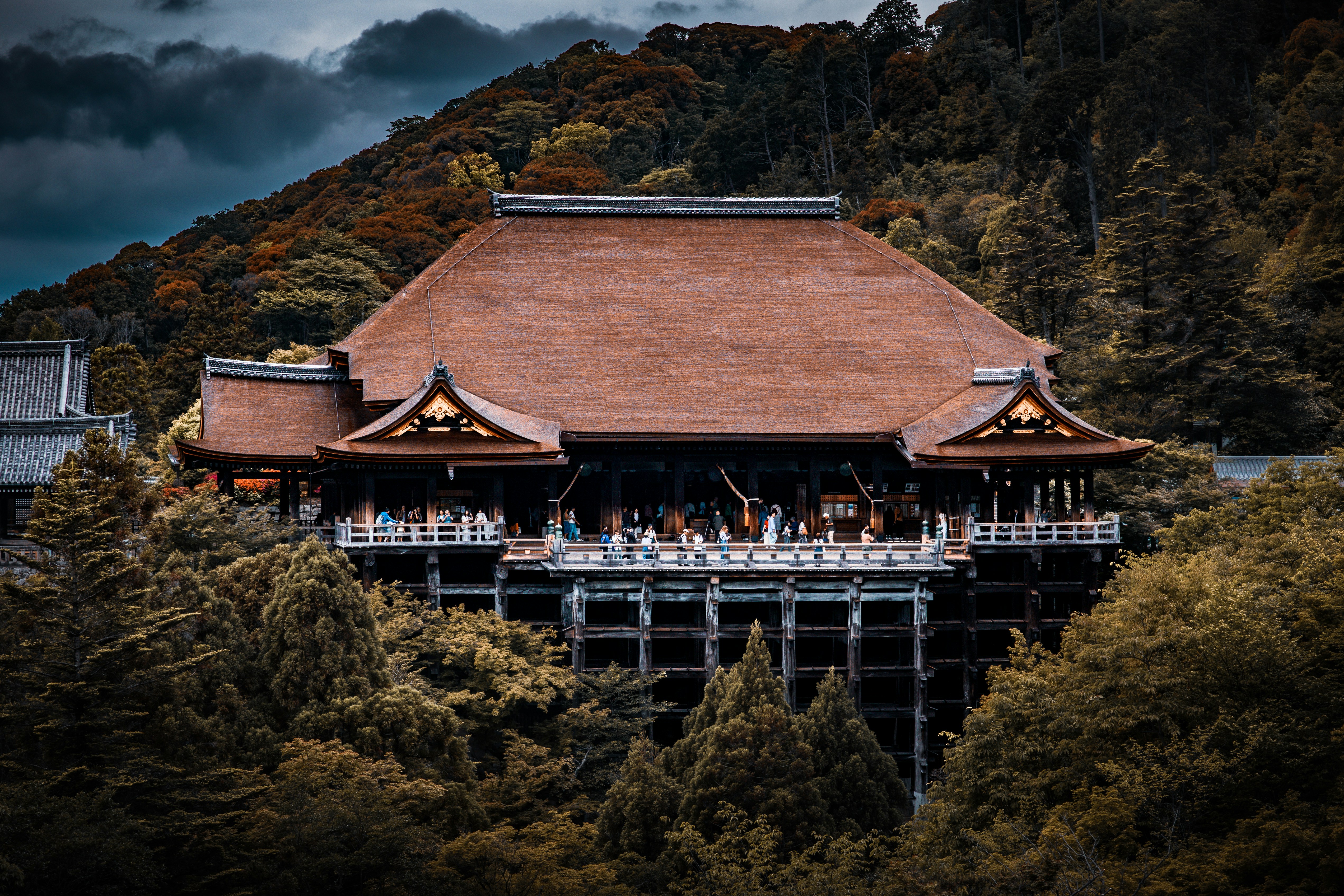 Temple atop a forested ridge: Shaded eaves and timber silhouette