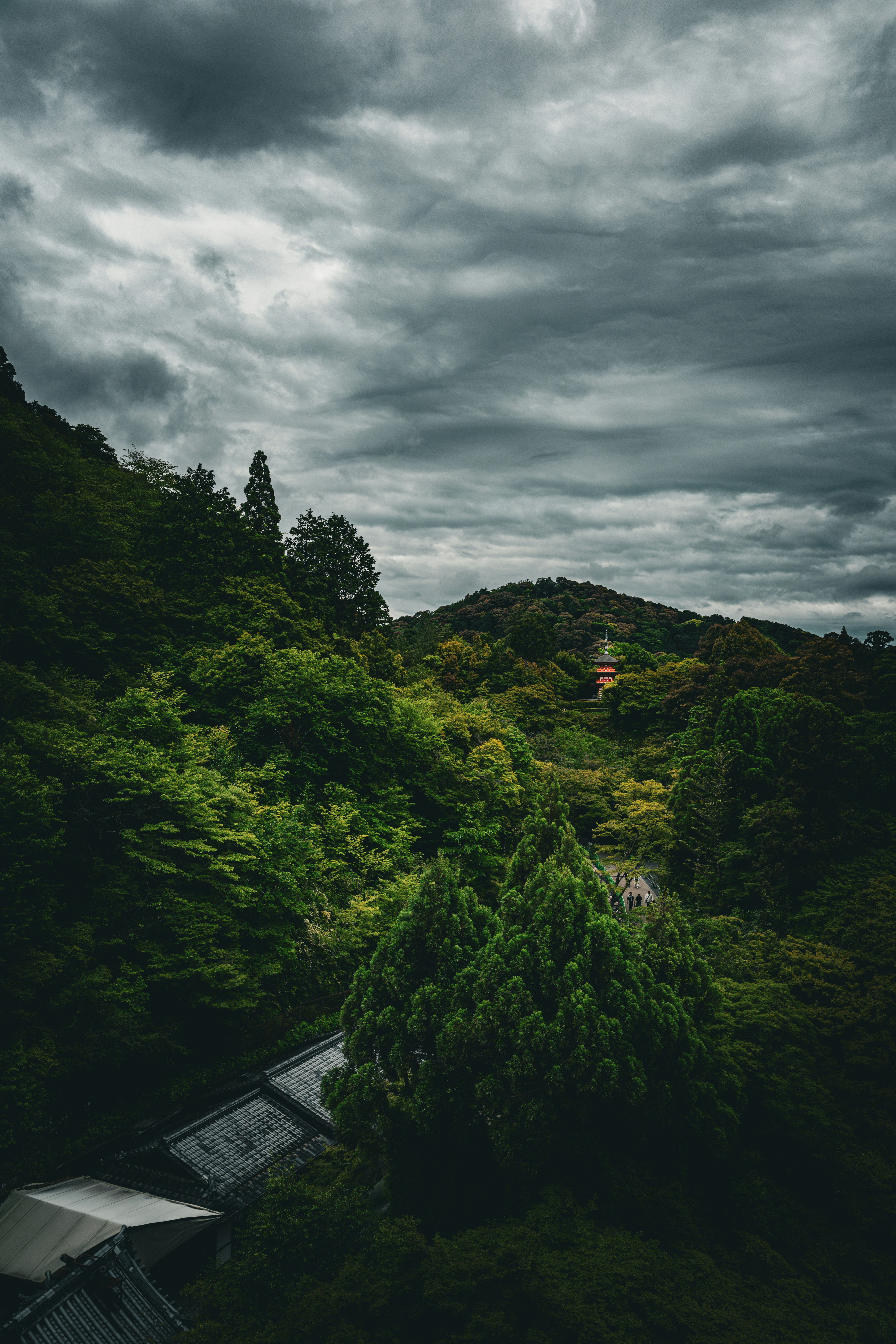 Misty Ridge Overlook: Greens and Storm-Front Skies