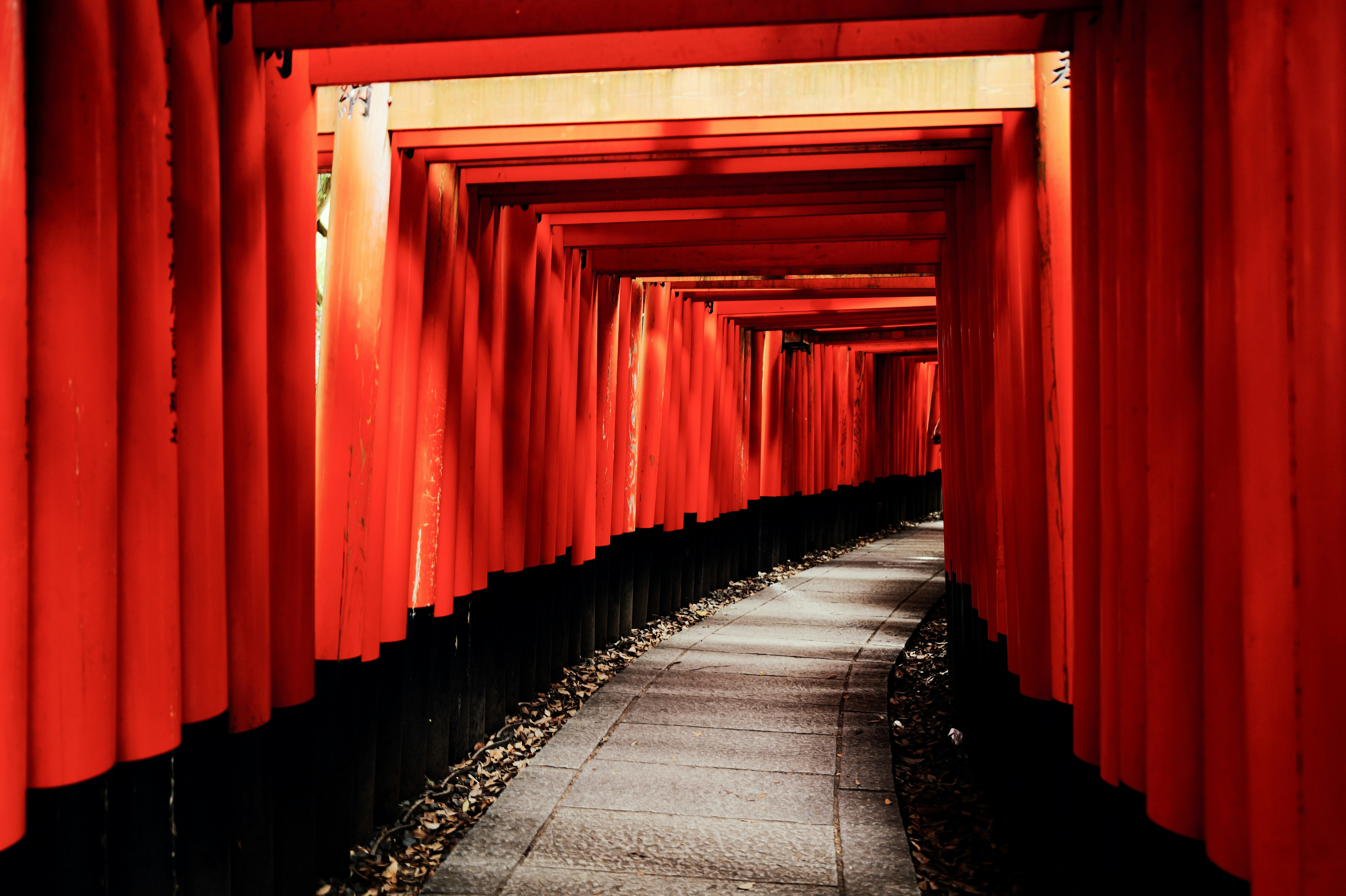 Red Corridor: A Path Through the Torii