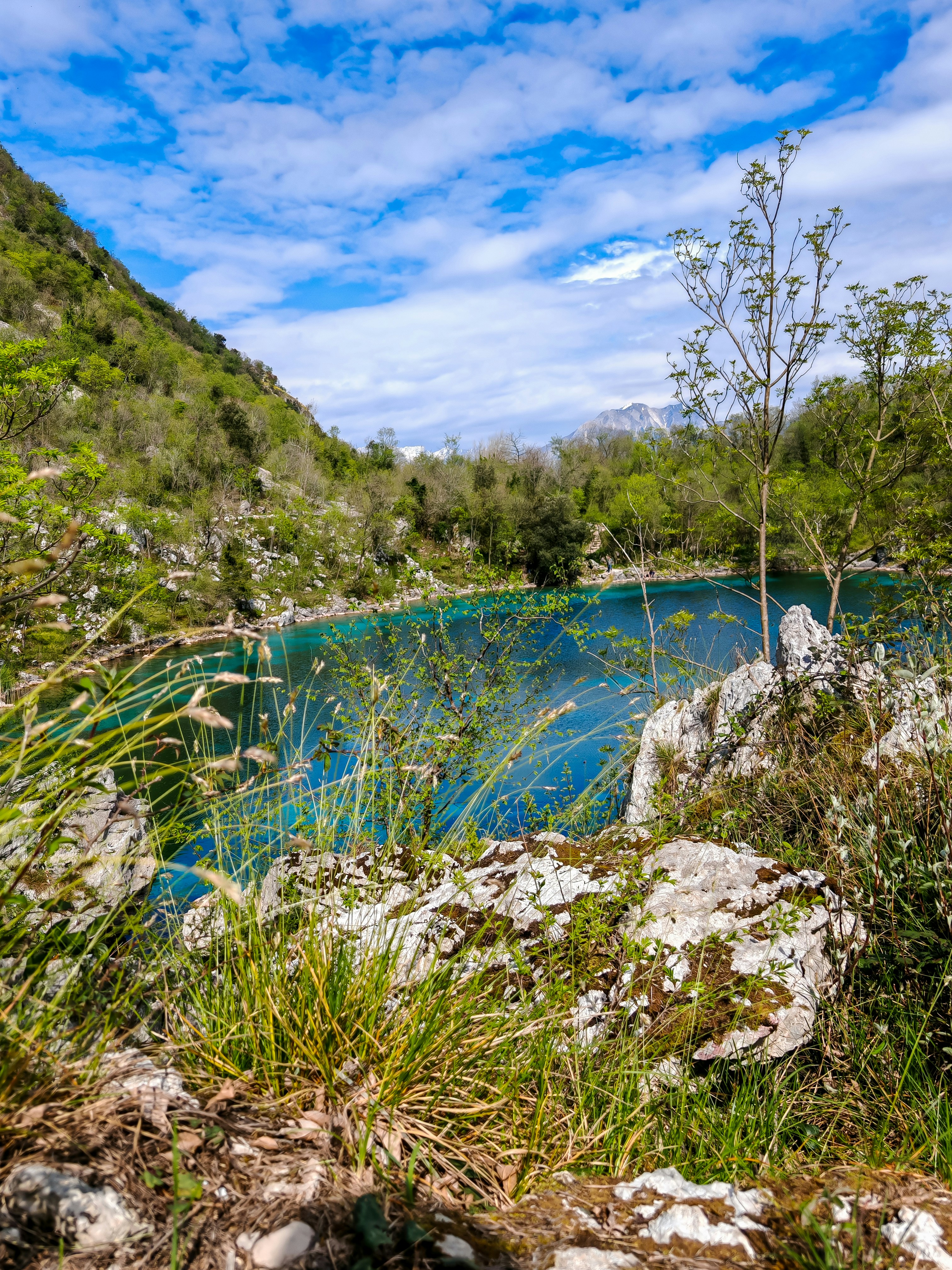 A Serene Cliffside Lake Surrounded by Wild Grass and Blue Sky