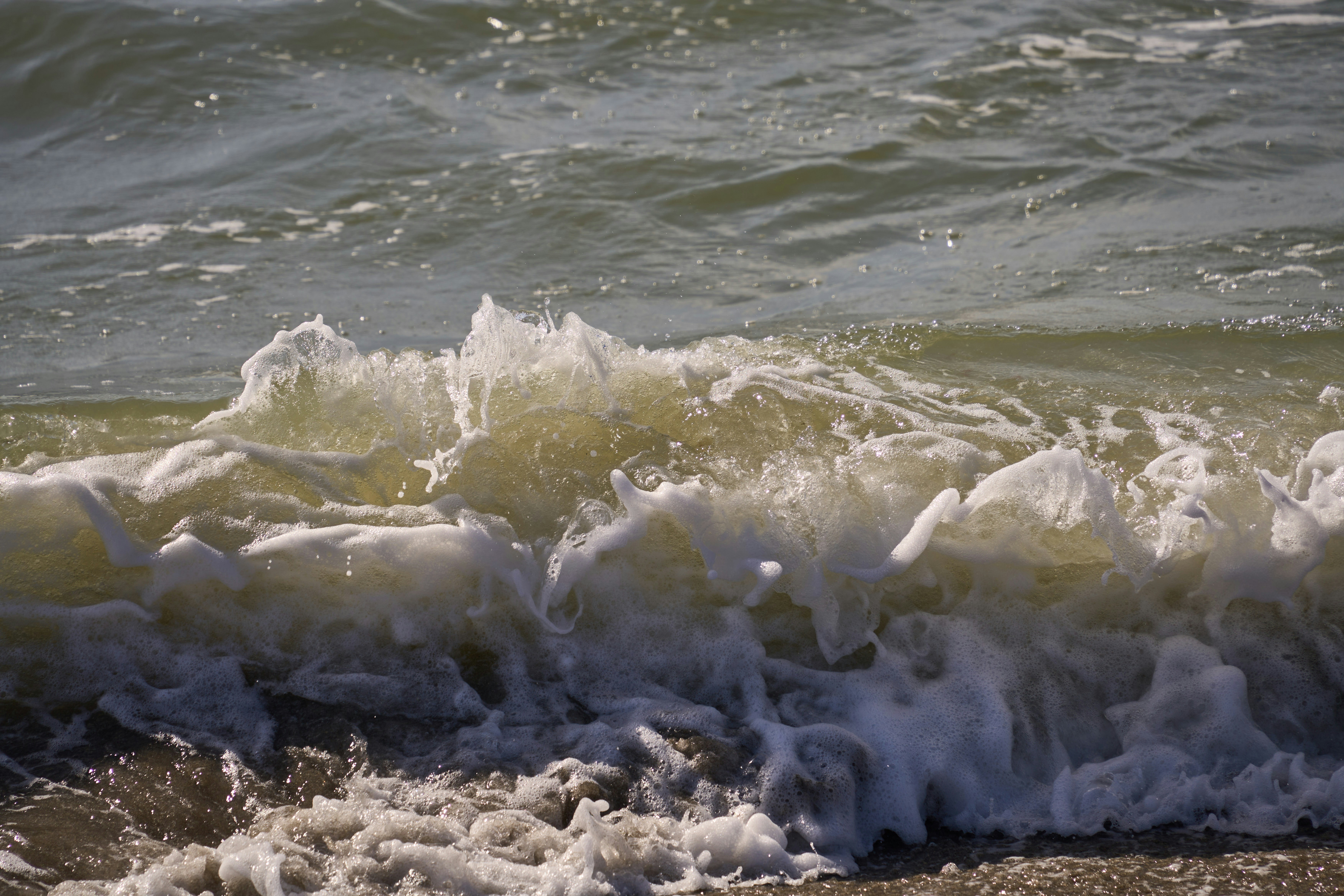 Cresting White Noise: Shoreline Fury at Dusk