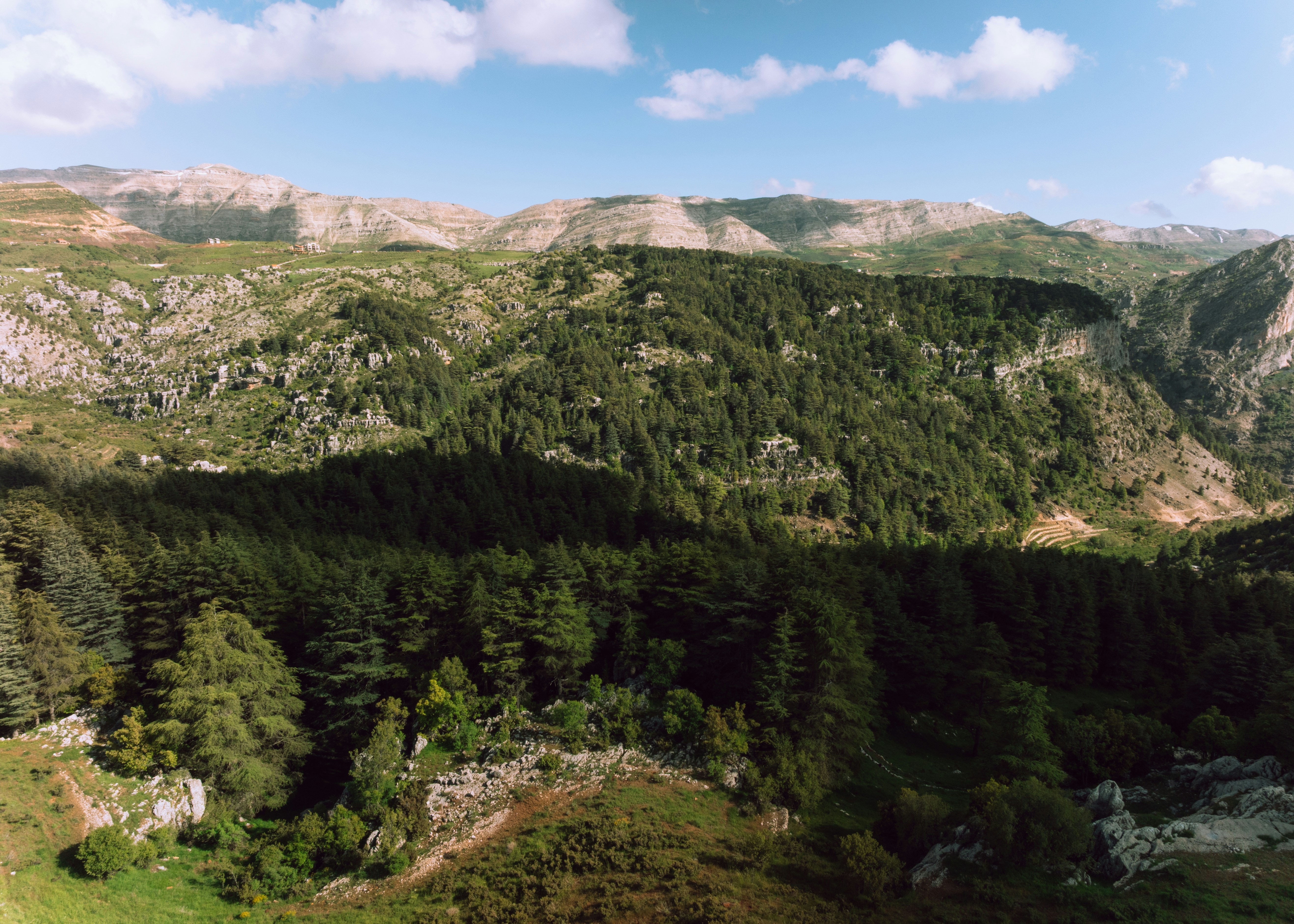 Verdant Valley Overlook: Ridge, Forest, and Distant Hills