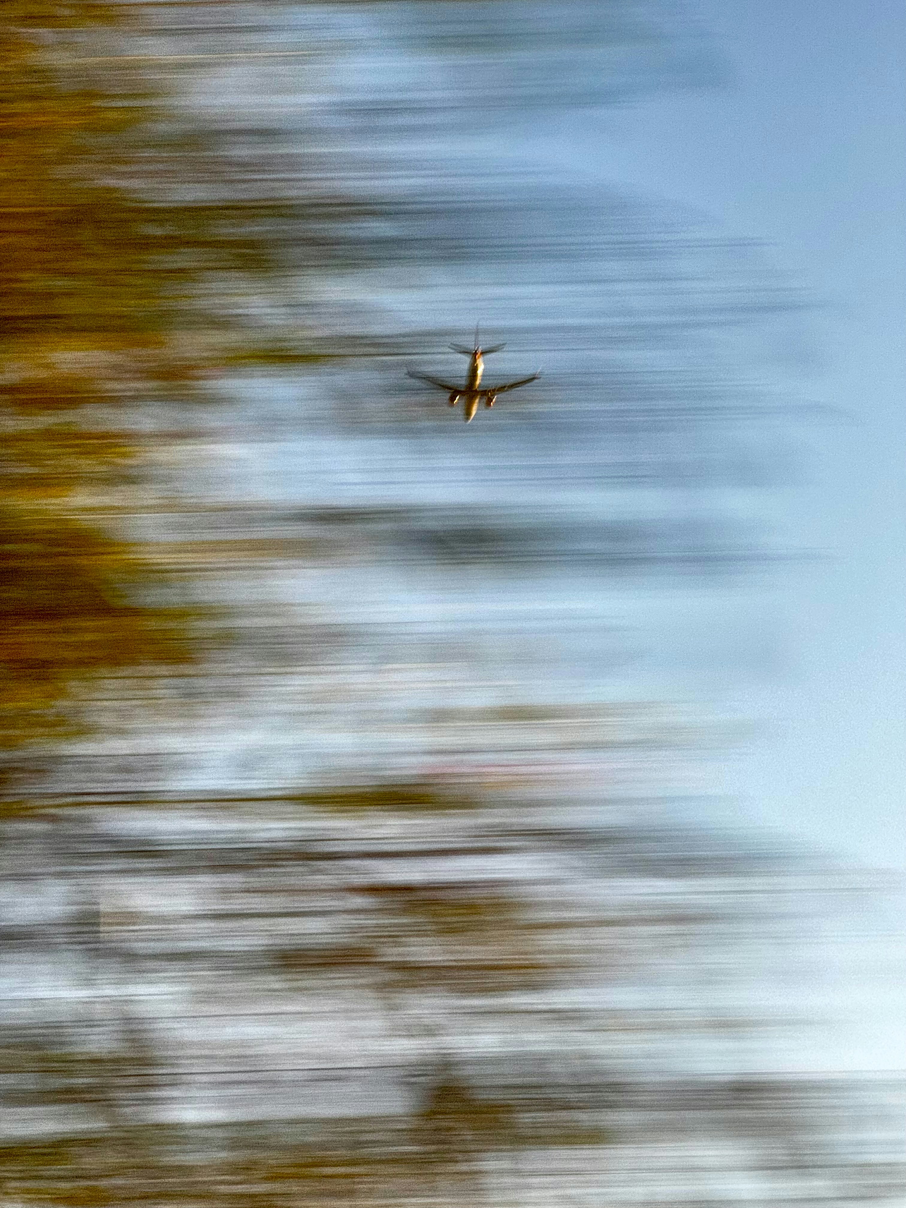 Midair Sprint: A Blur of Autumn Sky