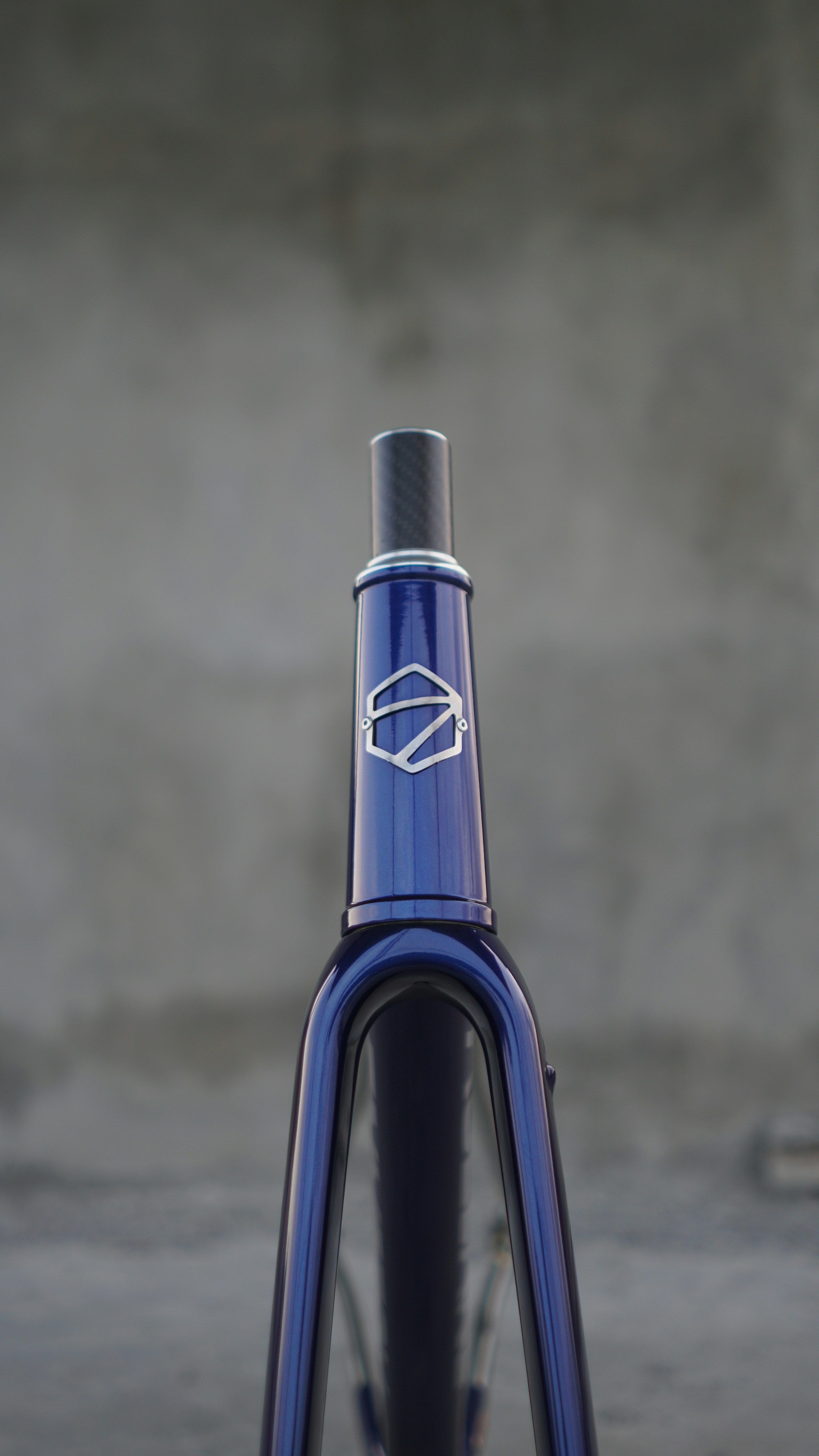 Blue Bicycle Stem Rising Against a Concrete Backdrop