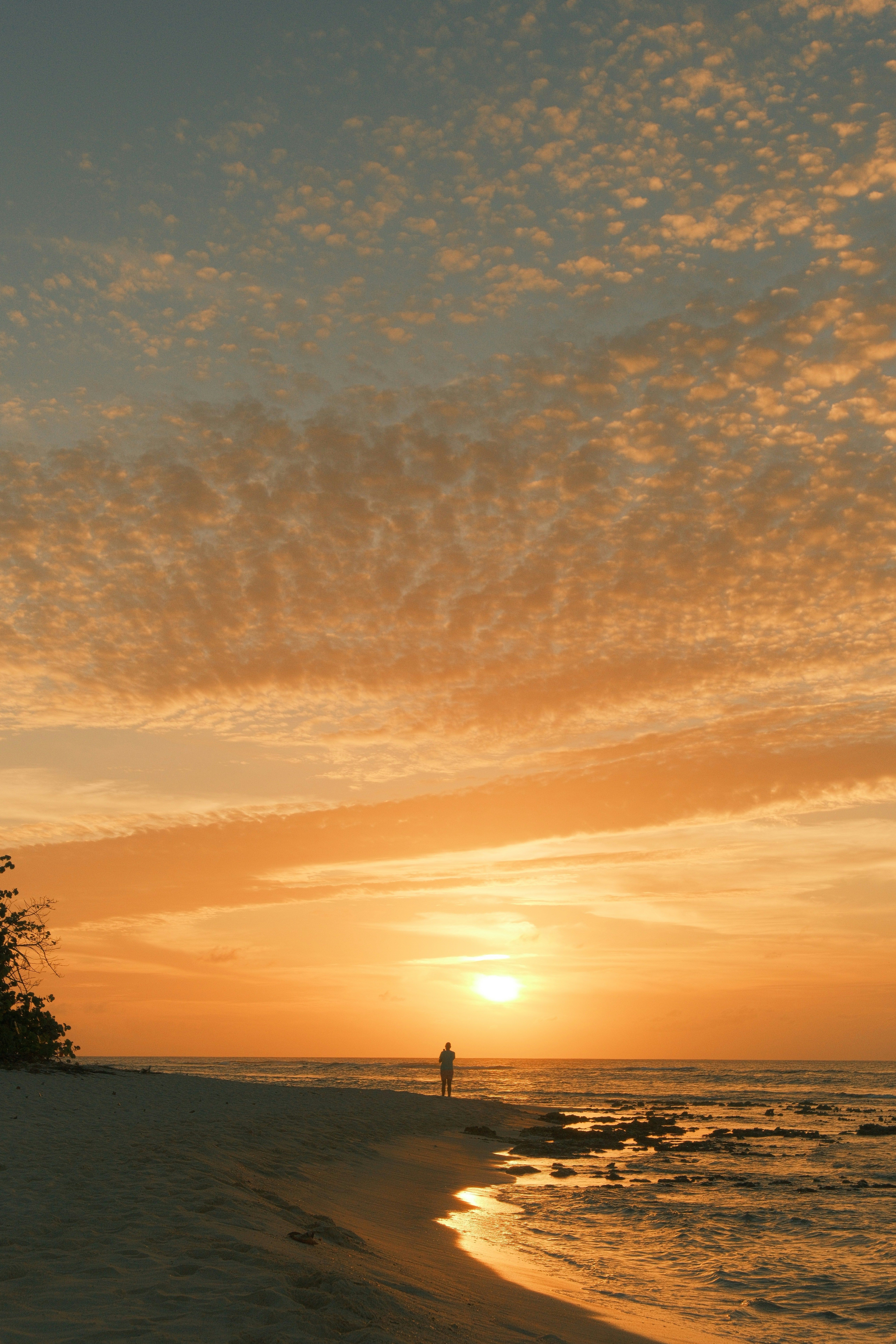 Sunset Walker at the Edge of Light