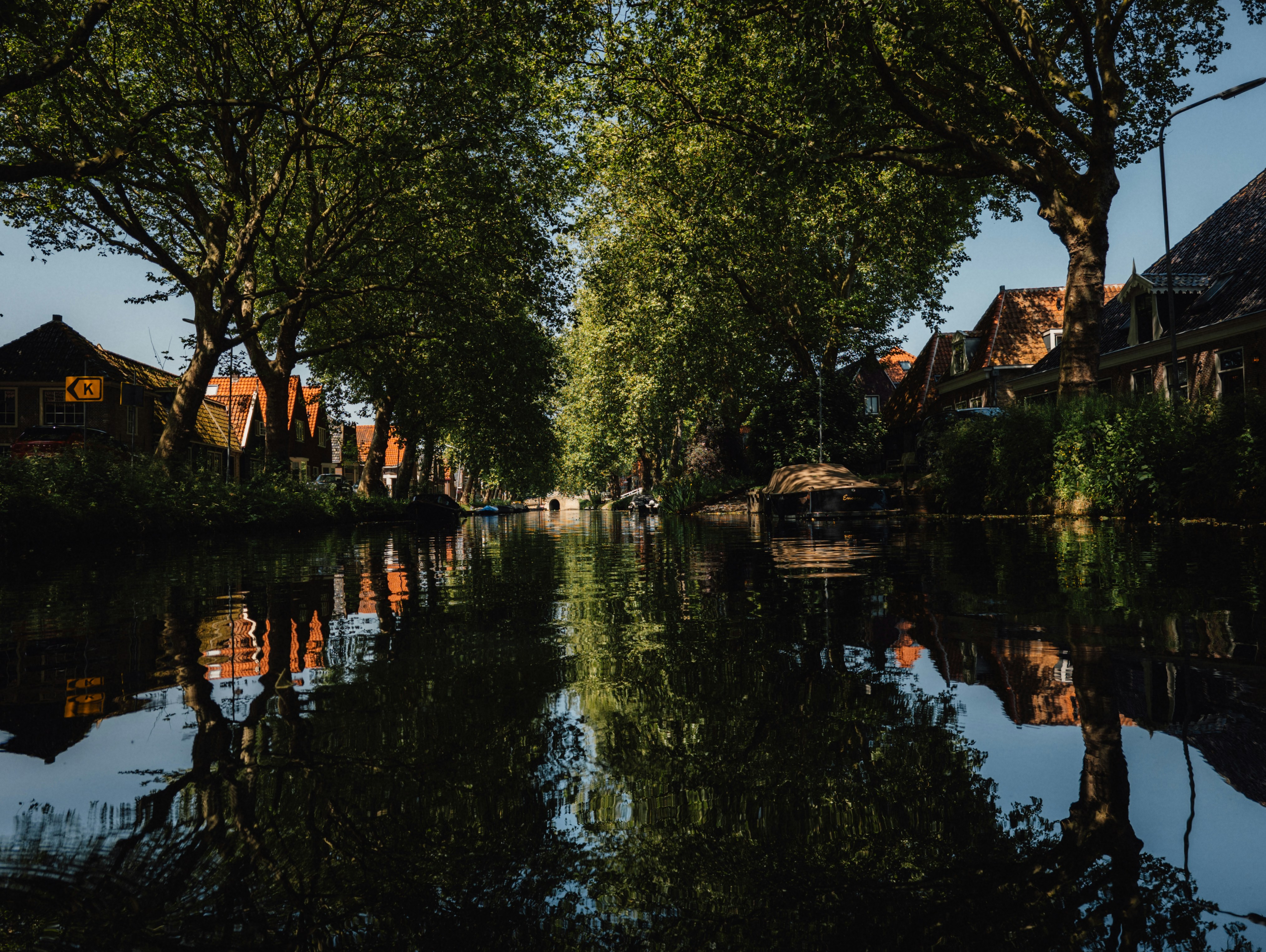 Canal reflections beneath a leafy canopy