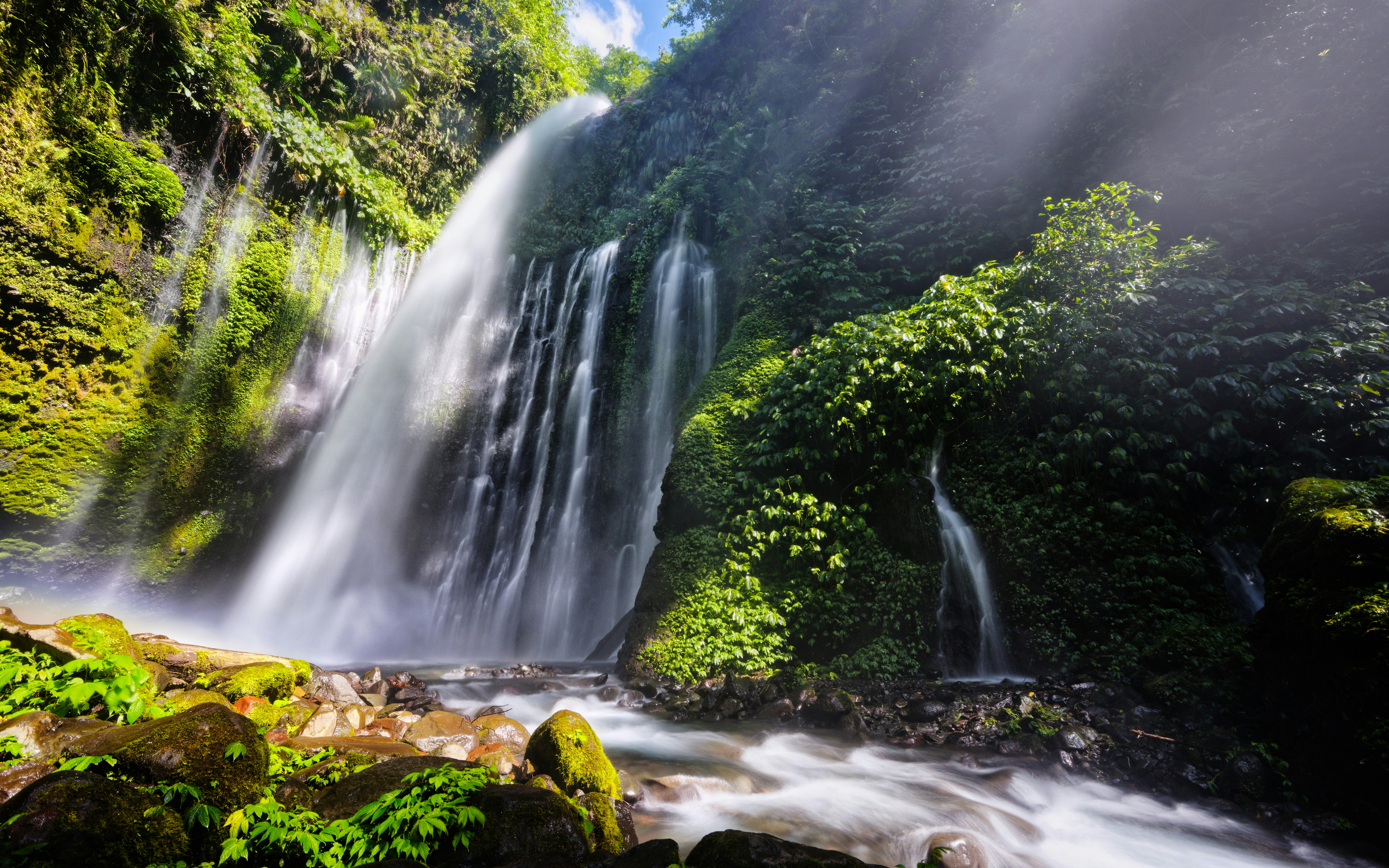 Veil of Moss and Cascade: A Quiet Forest Waterfall}