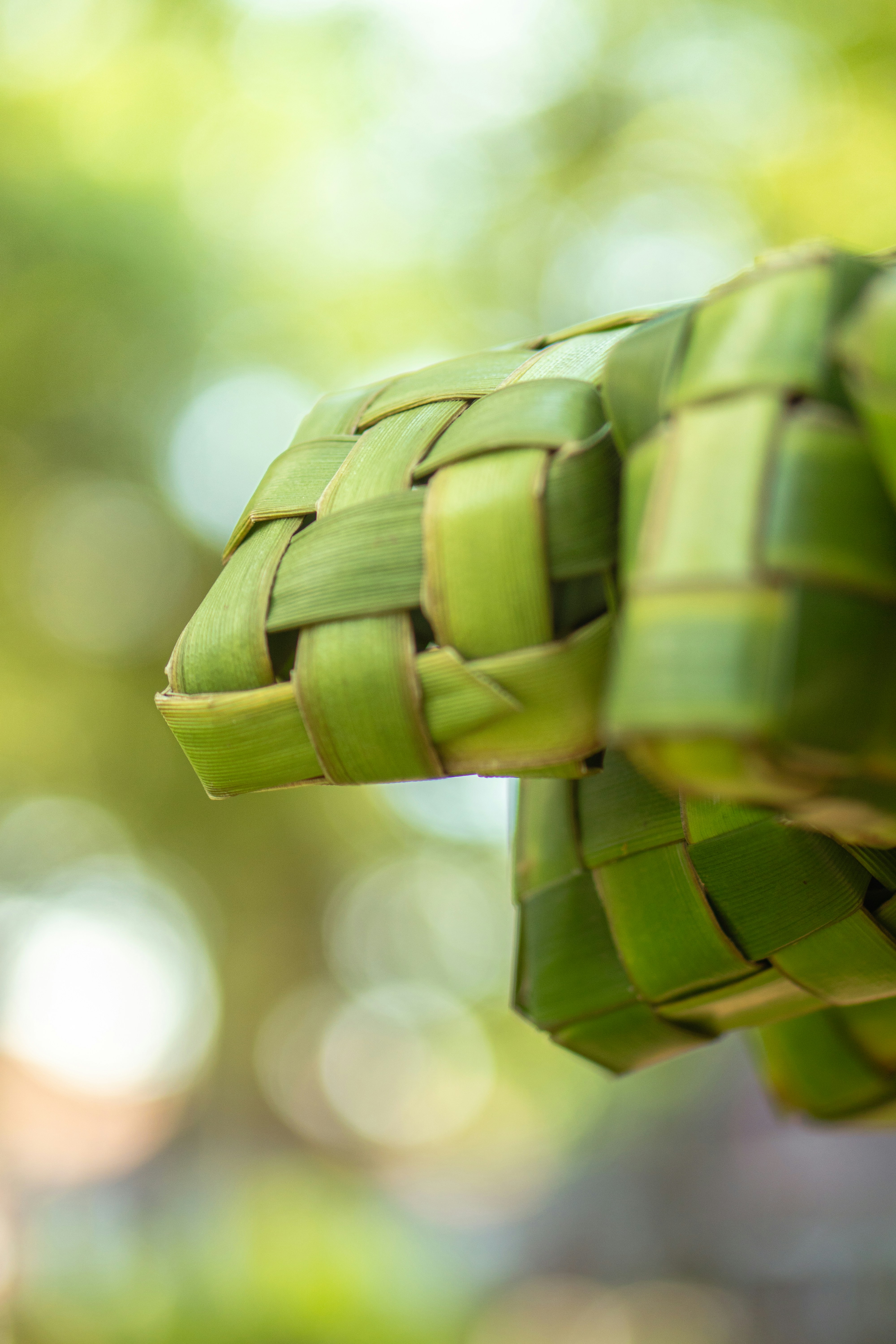 Green woven palm leaf containers for traditional food.