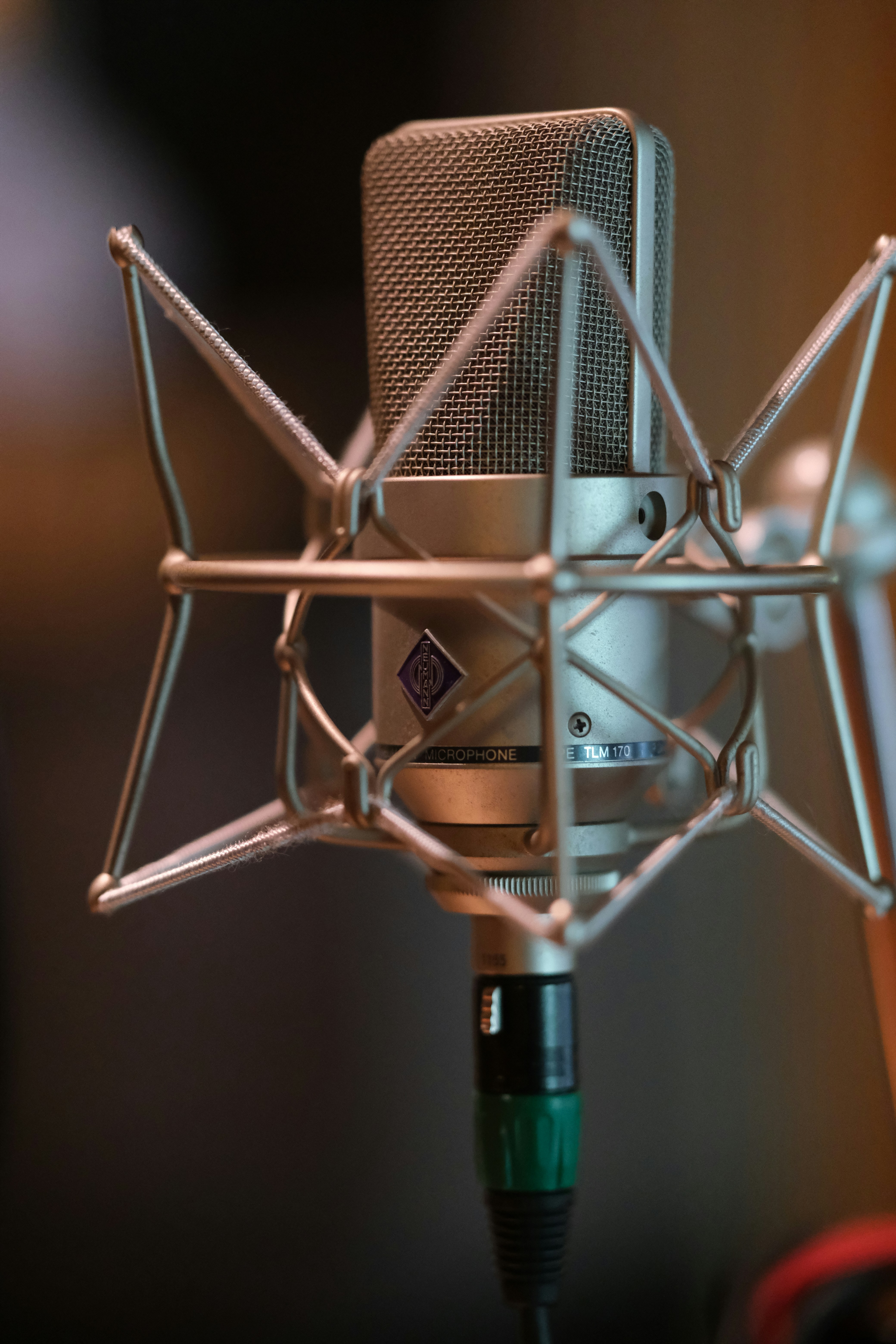 Studio Echo: The Vintage Microphone Front and Center