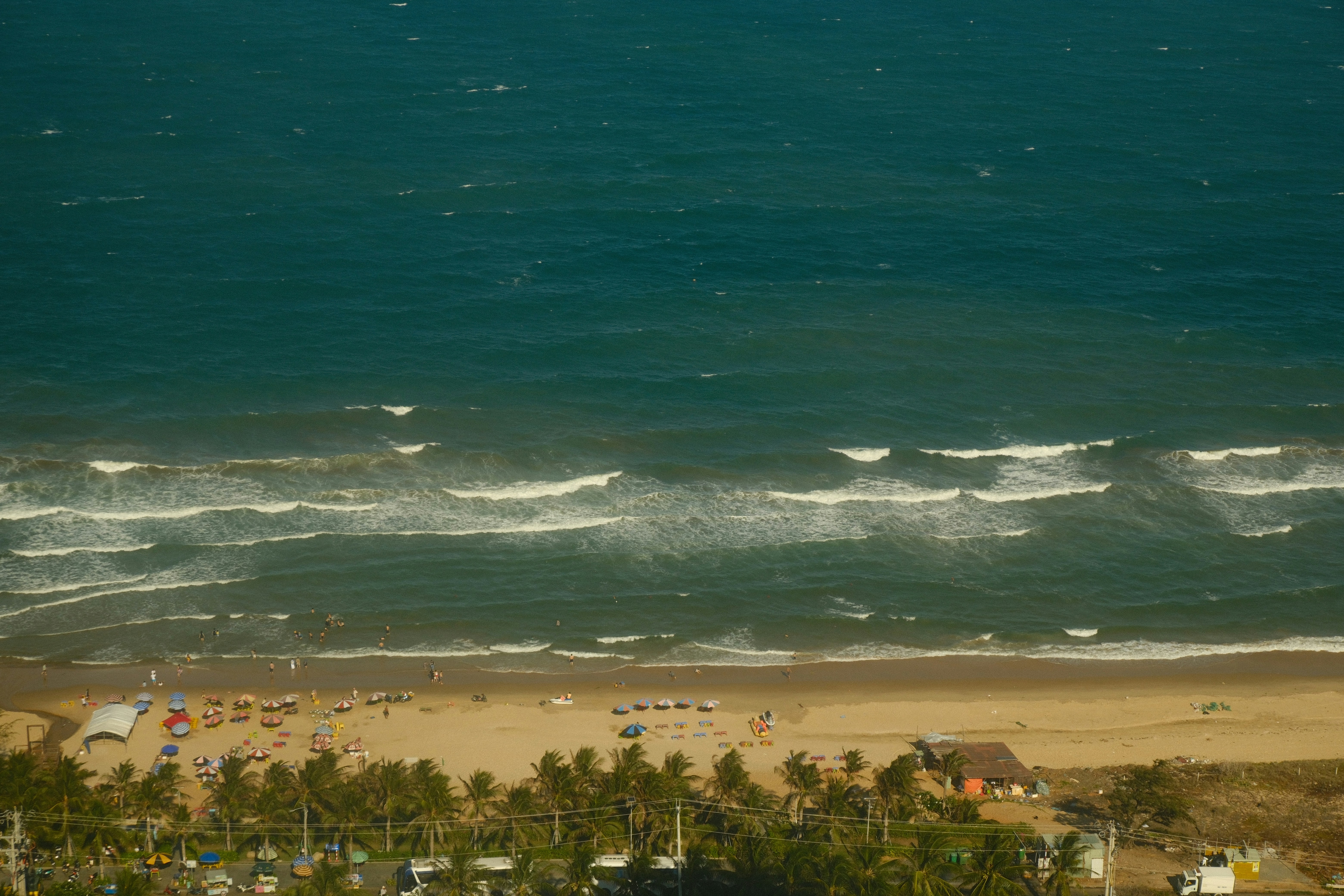 Sunlit Strand: Aerial View Over Palm-Lined Beach and Parasol Mosaic