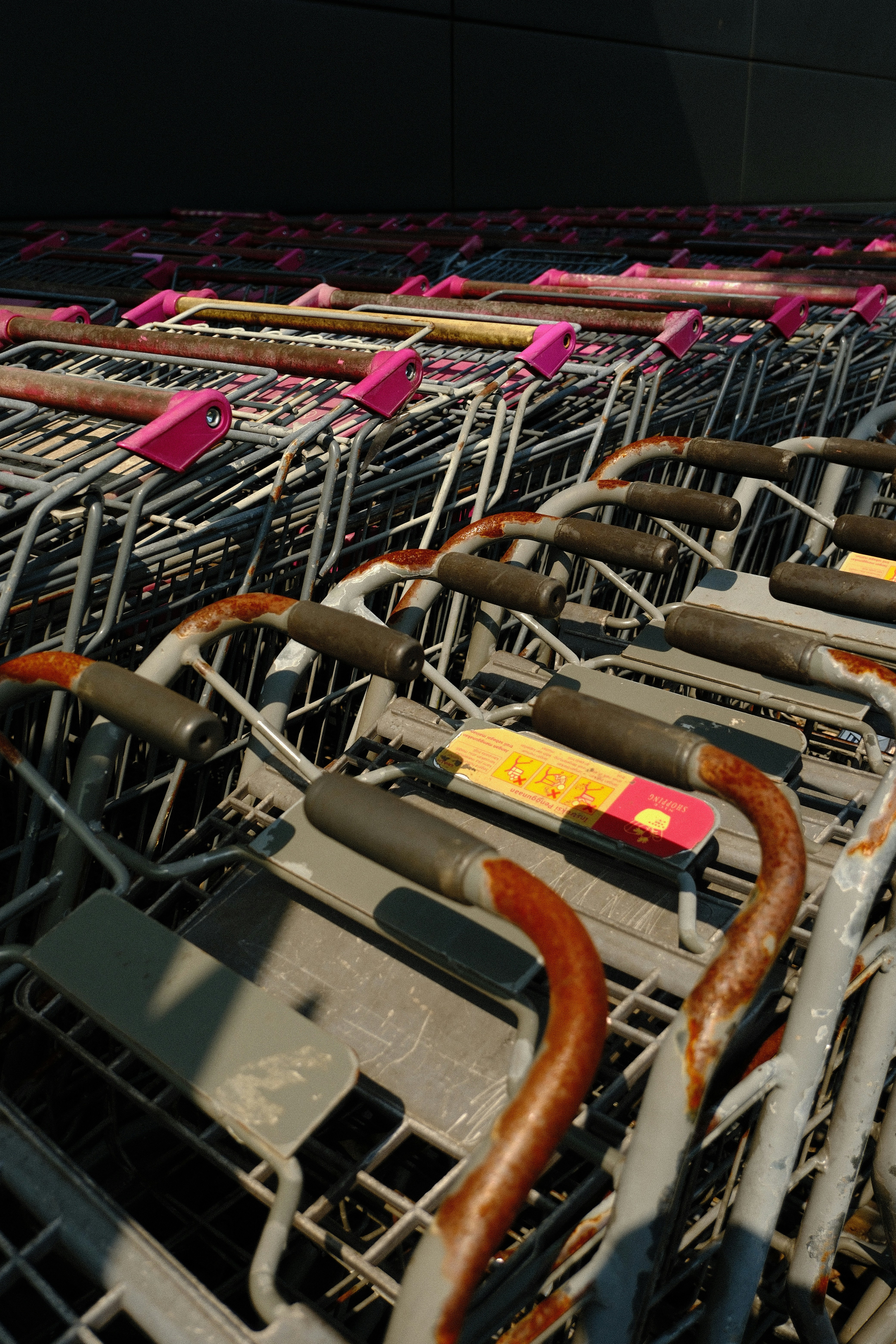 A Sea of Carts: Rusty Handles and Neon Pink Accents