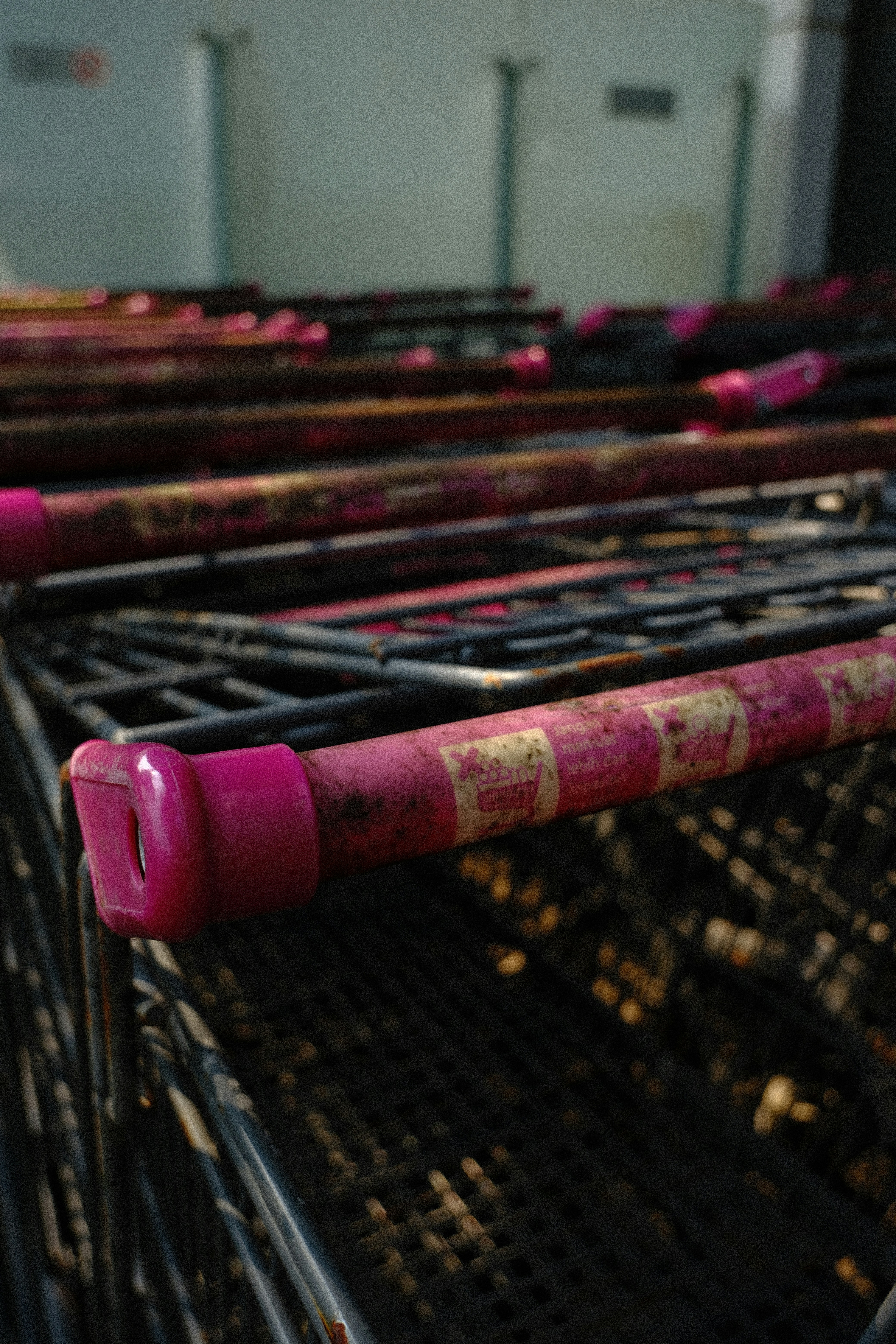 Pink Handles, Dark Grids: A Close-Up of Shopping Carts in Dusk