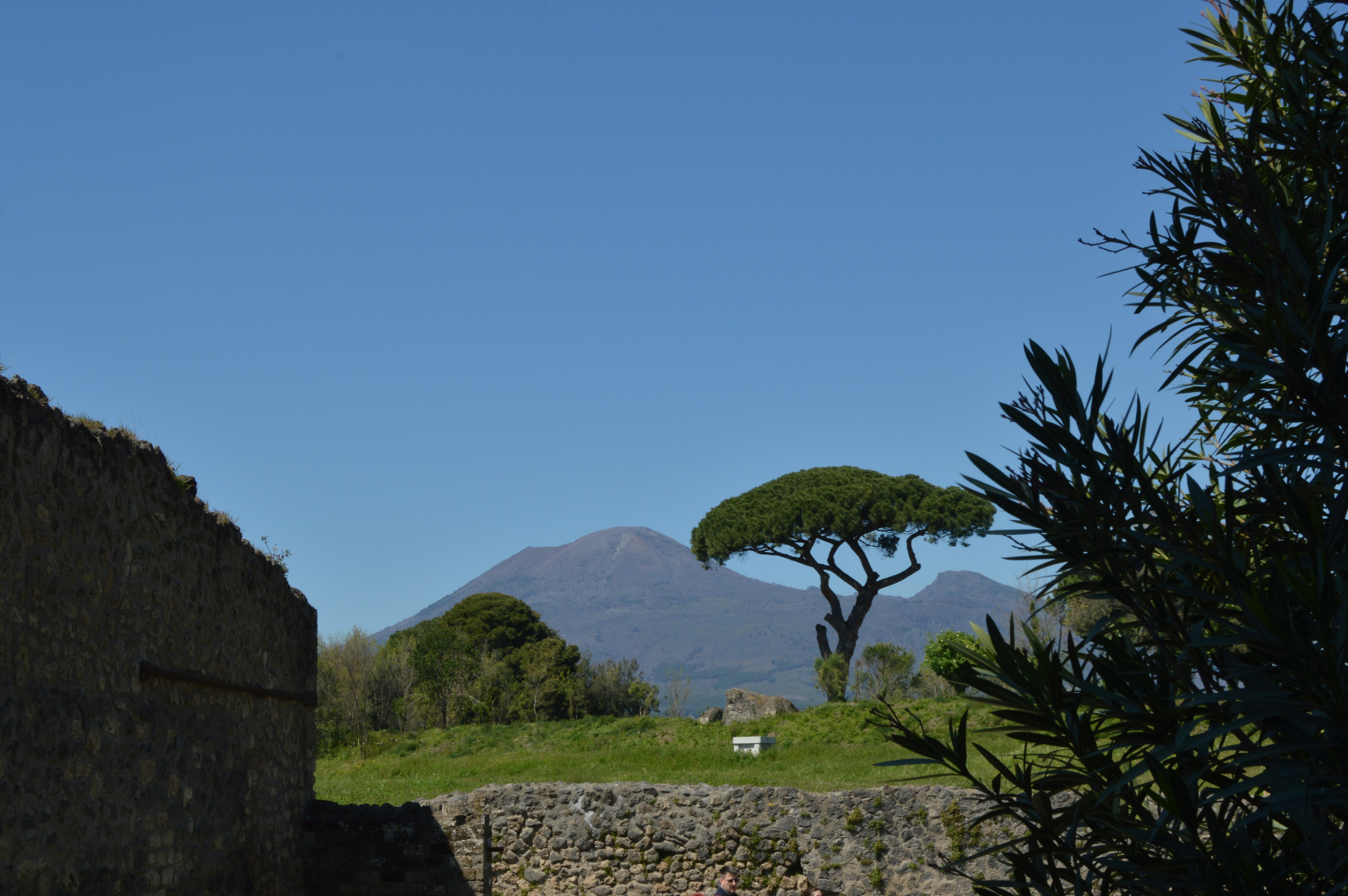 Lone Umbrella Tree Framed by Ancient Stone and Mountain Vista