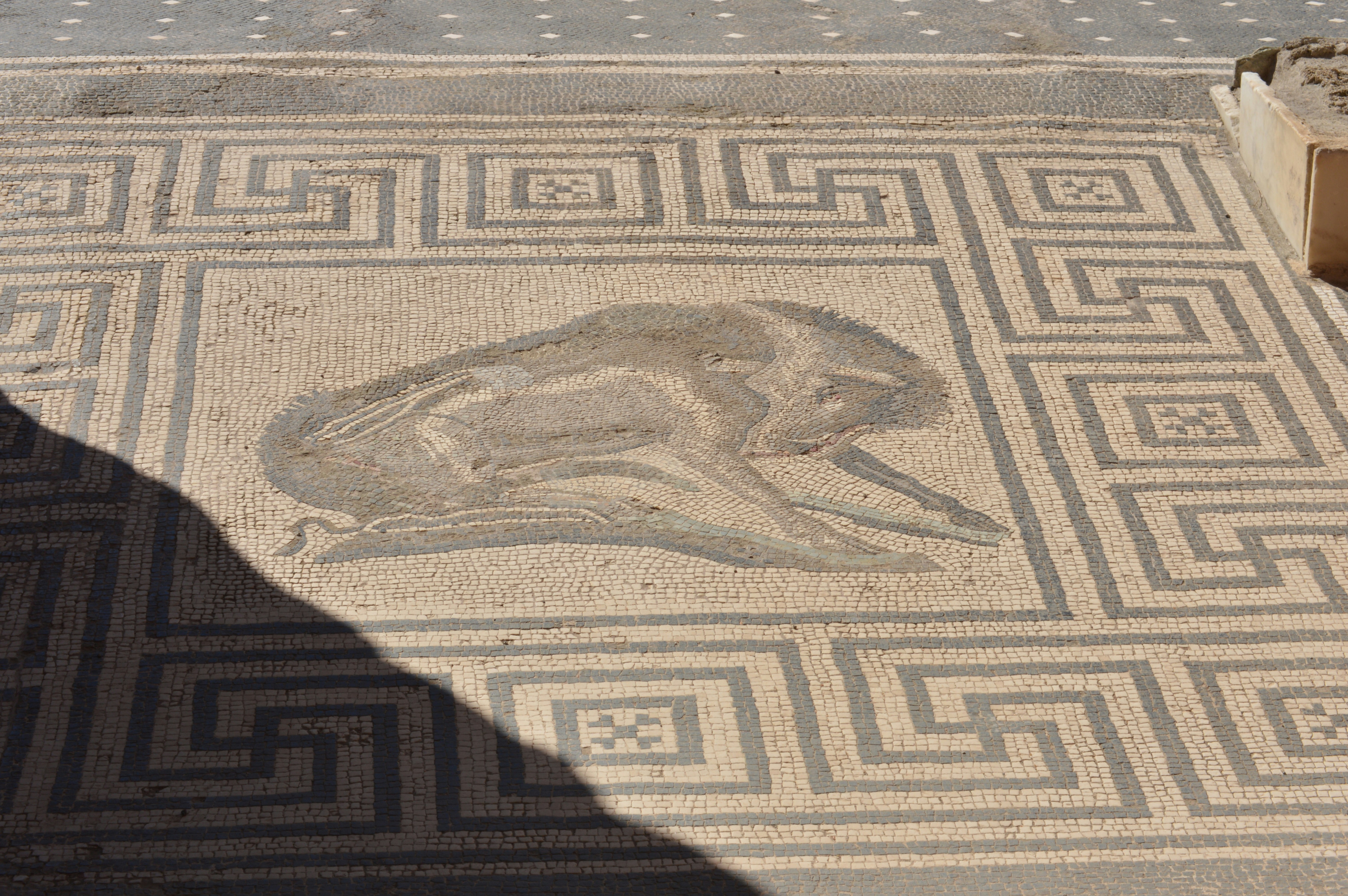 Shaded Shadow on the Geometric Mosaic