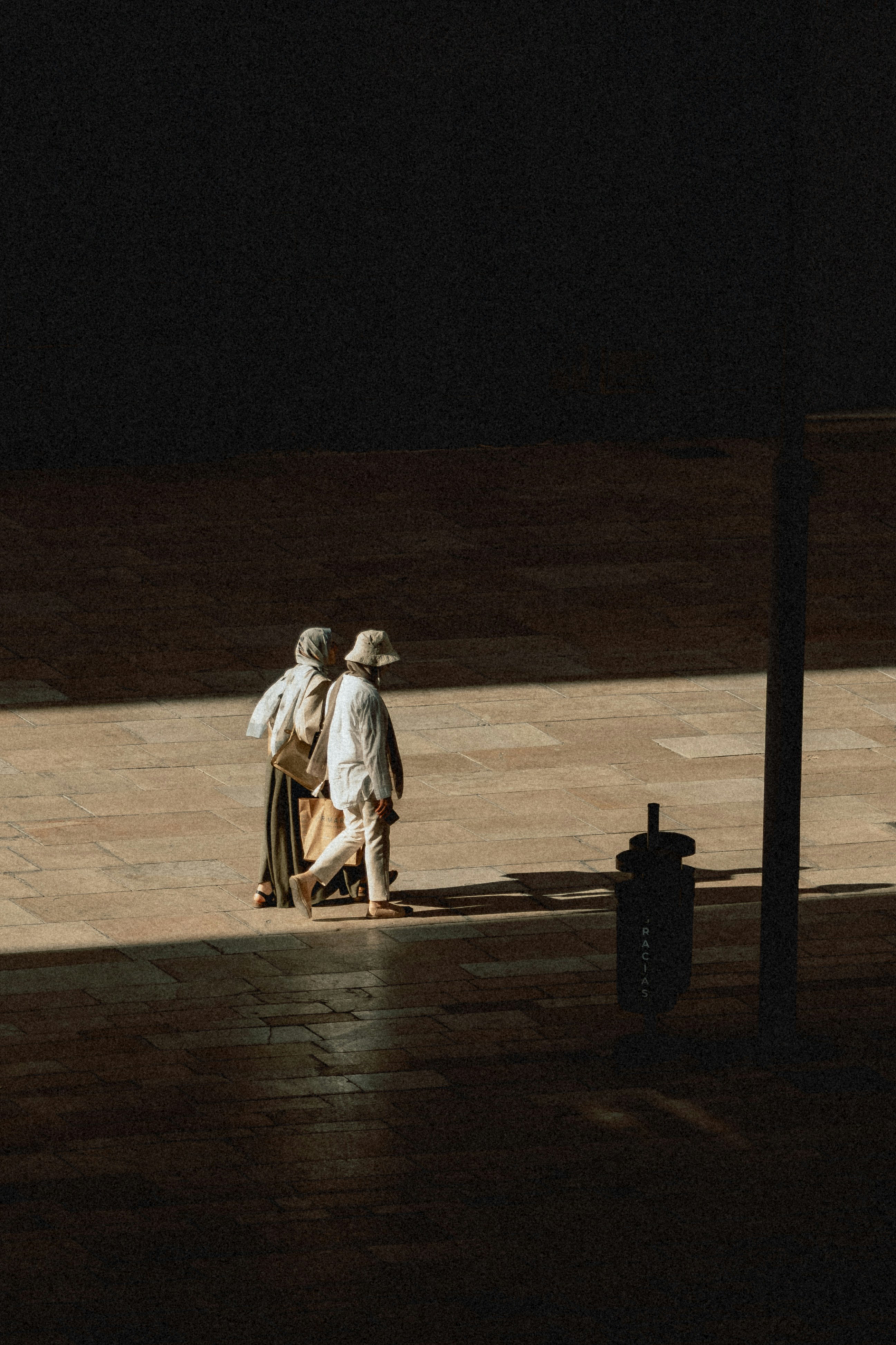 Shadowed Stride: The Gentle Light on Evening Walkers