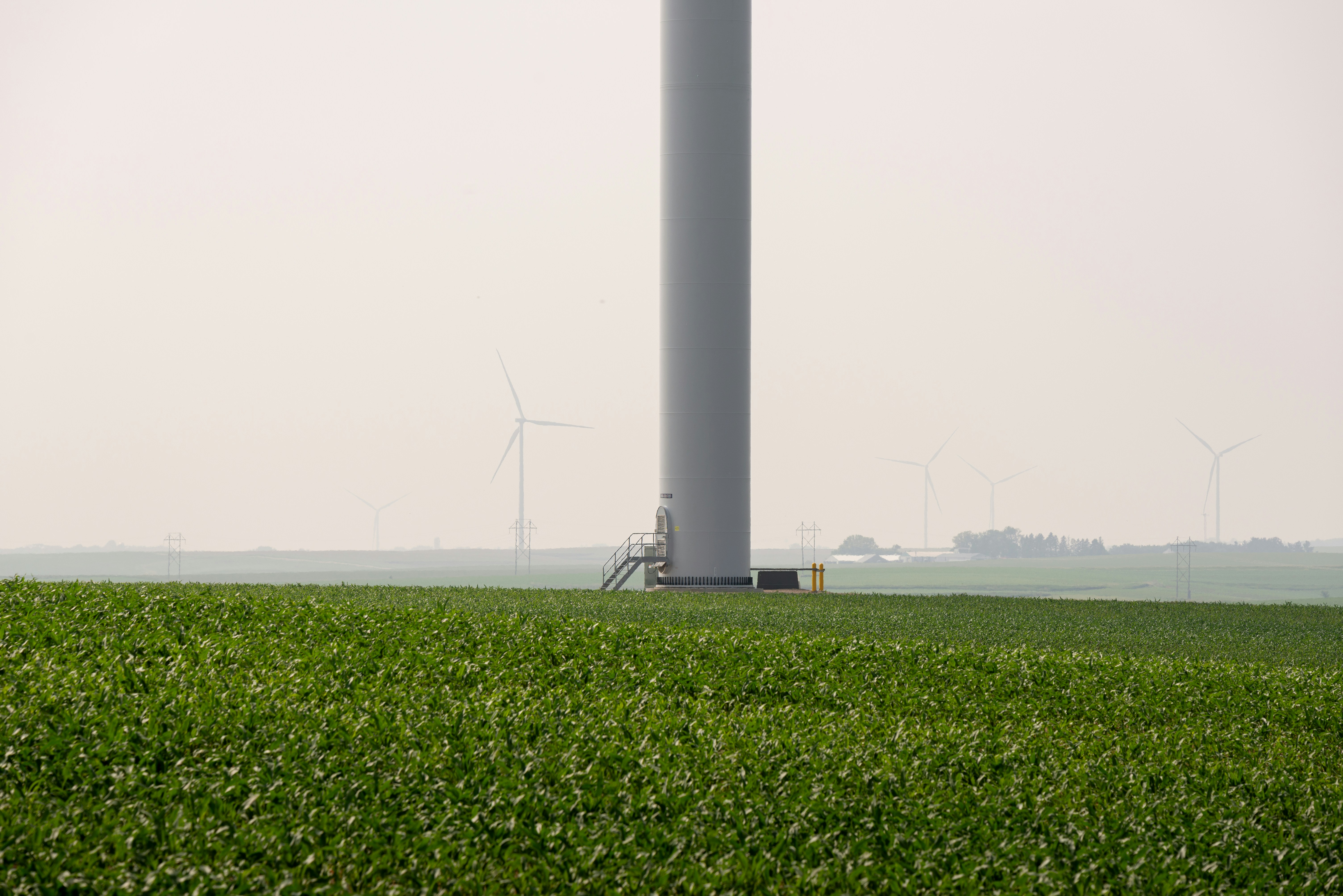 Towering Quiet: A Field of Wind Turbines under Pale Skies