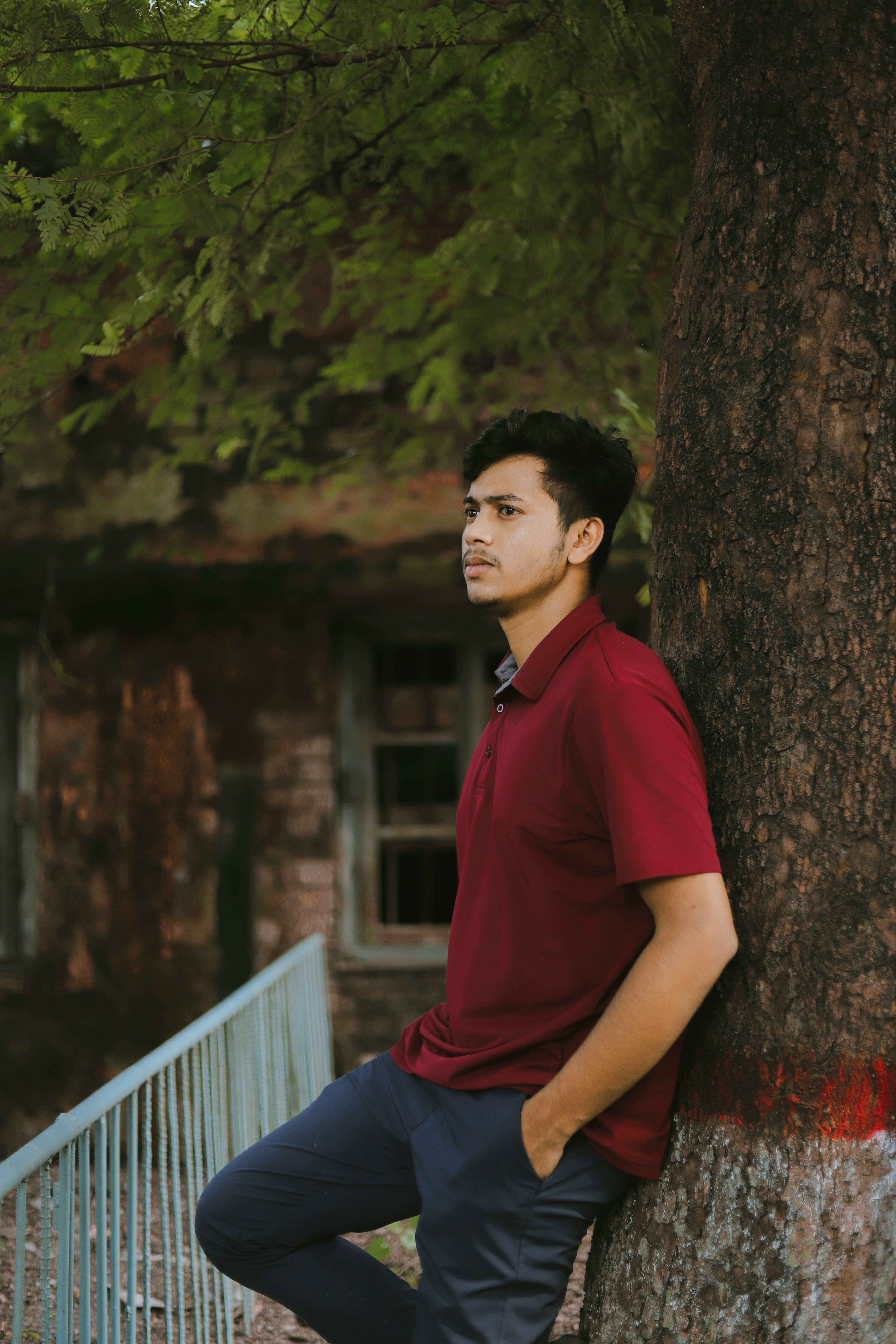 Against the Bark: A Quiet Moment by the Tree